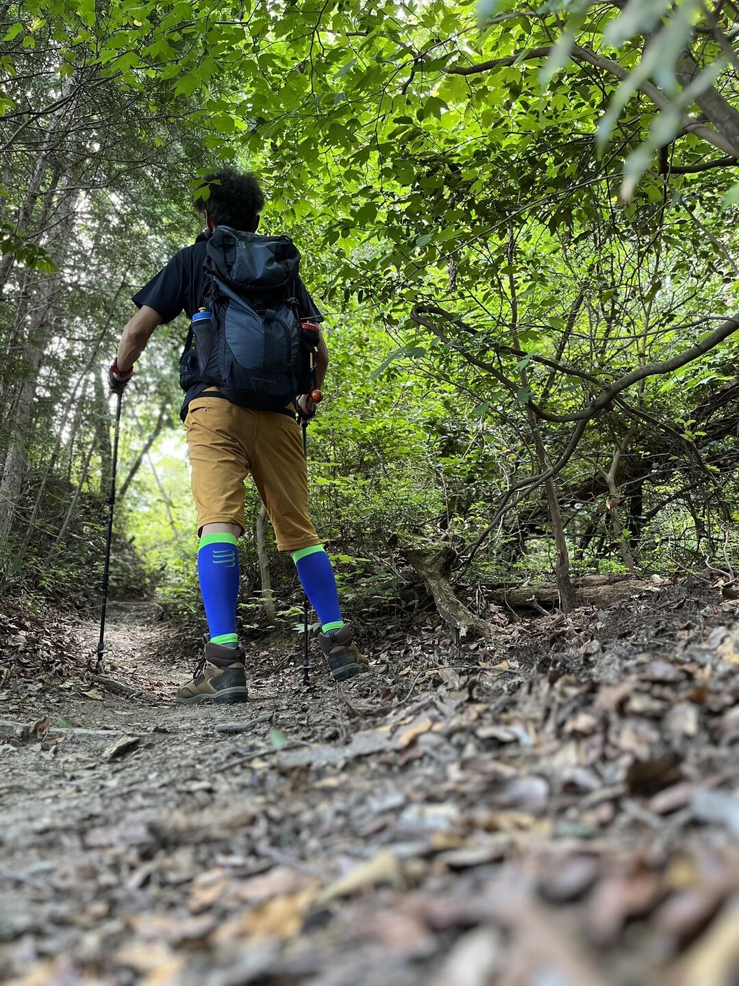 猿投山 / masa-m2さんの猿投山・物見山の活動データ | YAMAP / ヤマップ