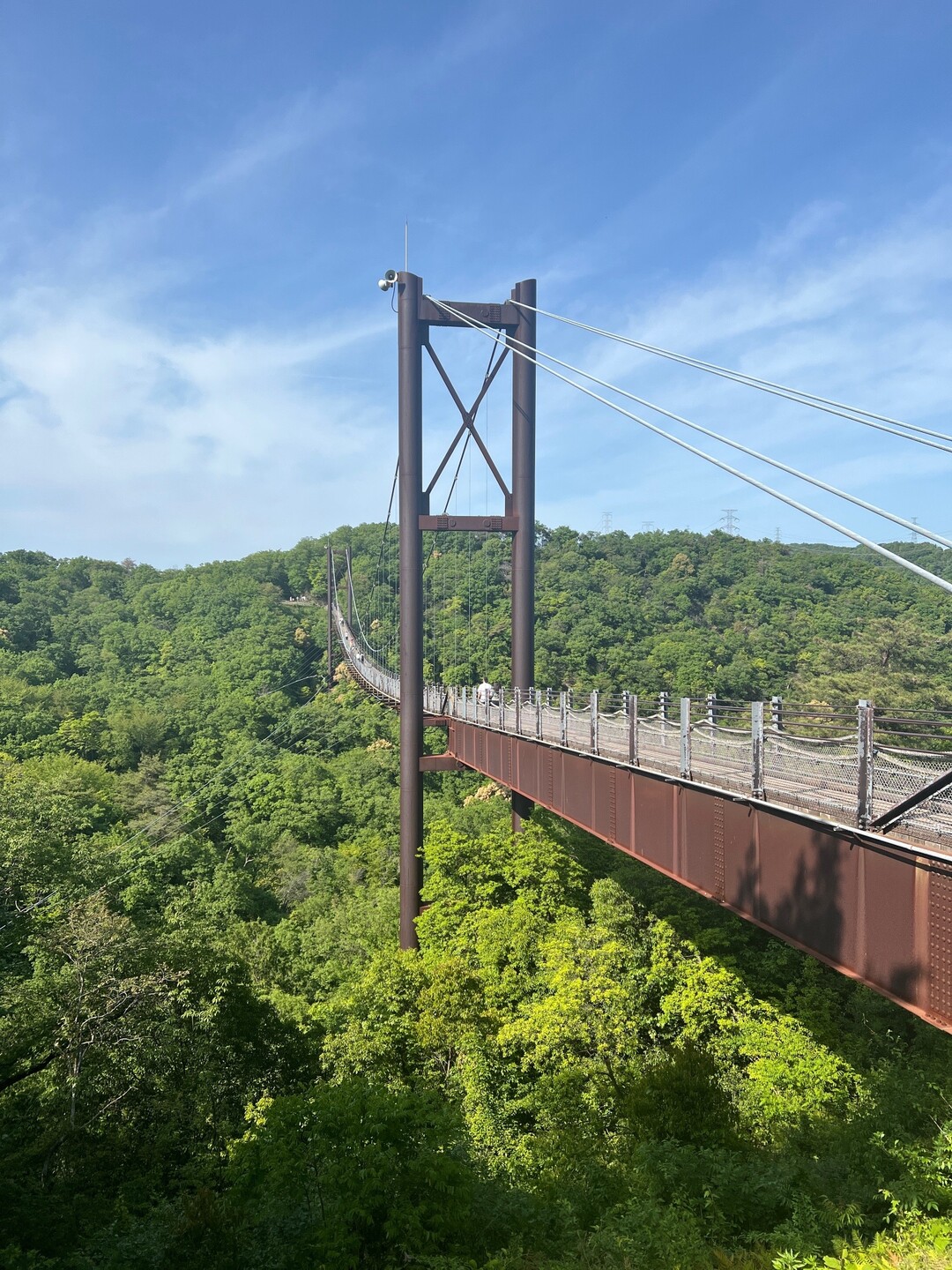 白峯・松ノ浜山 / Tkmさんの交野山・国見山の活動データ | YAMAP / ヤマップ