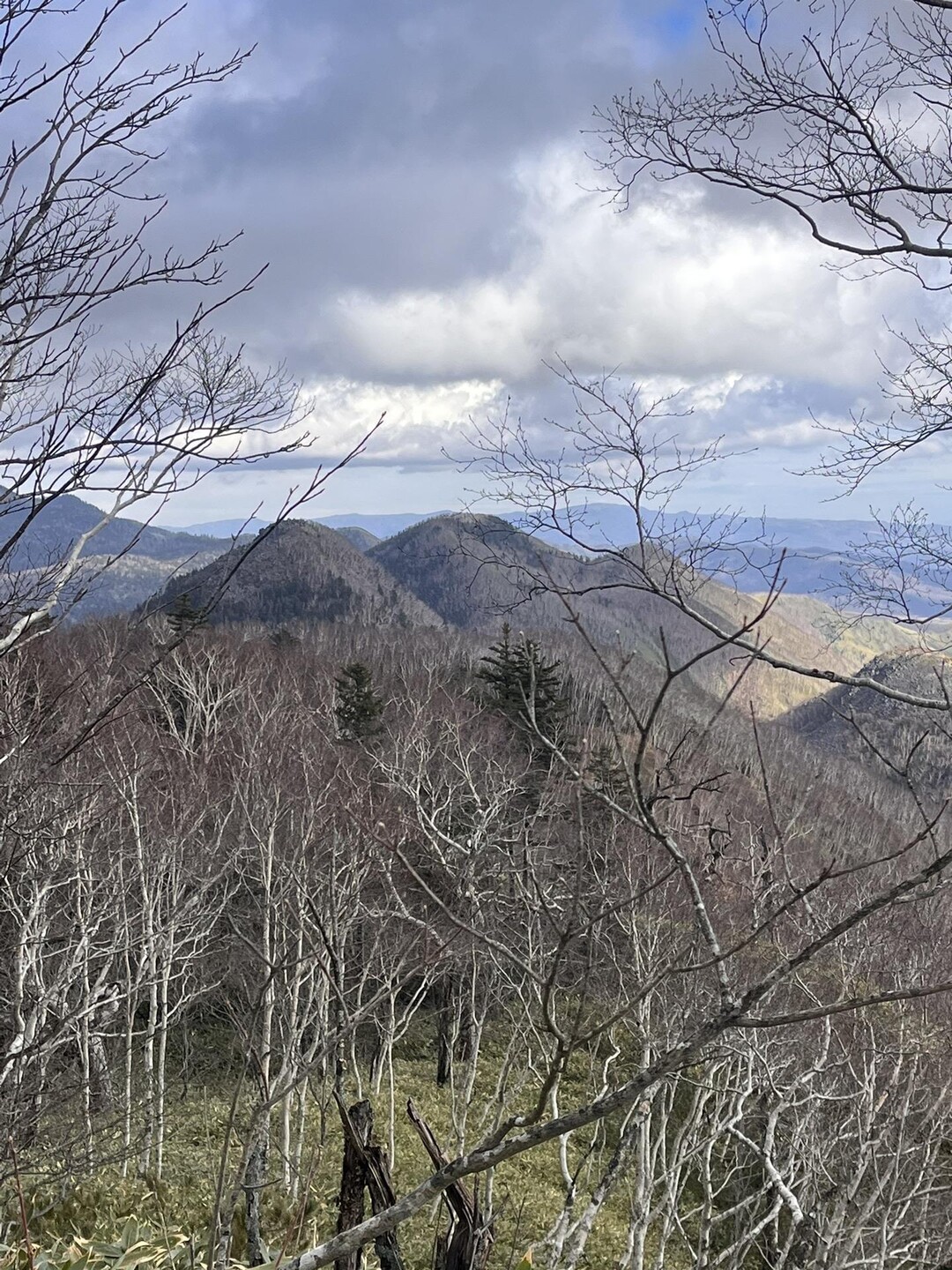 東ヌプカウシヌプリ / zect (ゼクト)さんの白雲山の活動データ | YAMAP / ヤマップ