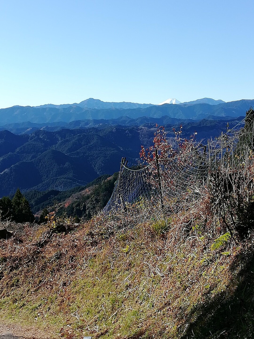 日影山・丸山・関八州見晴台 / SINさんの関八州見晴台の活動データ | YAMAP / ヤマップ