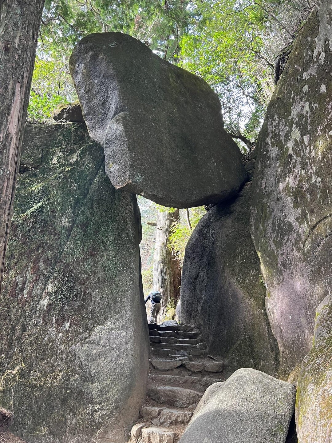 2024年お正月の筑波山（男体山 女体山） / sakさんの筑波山の活動データ | YAMAP / ヤマップ