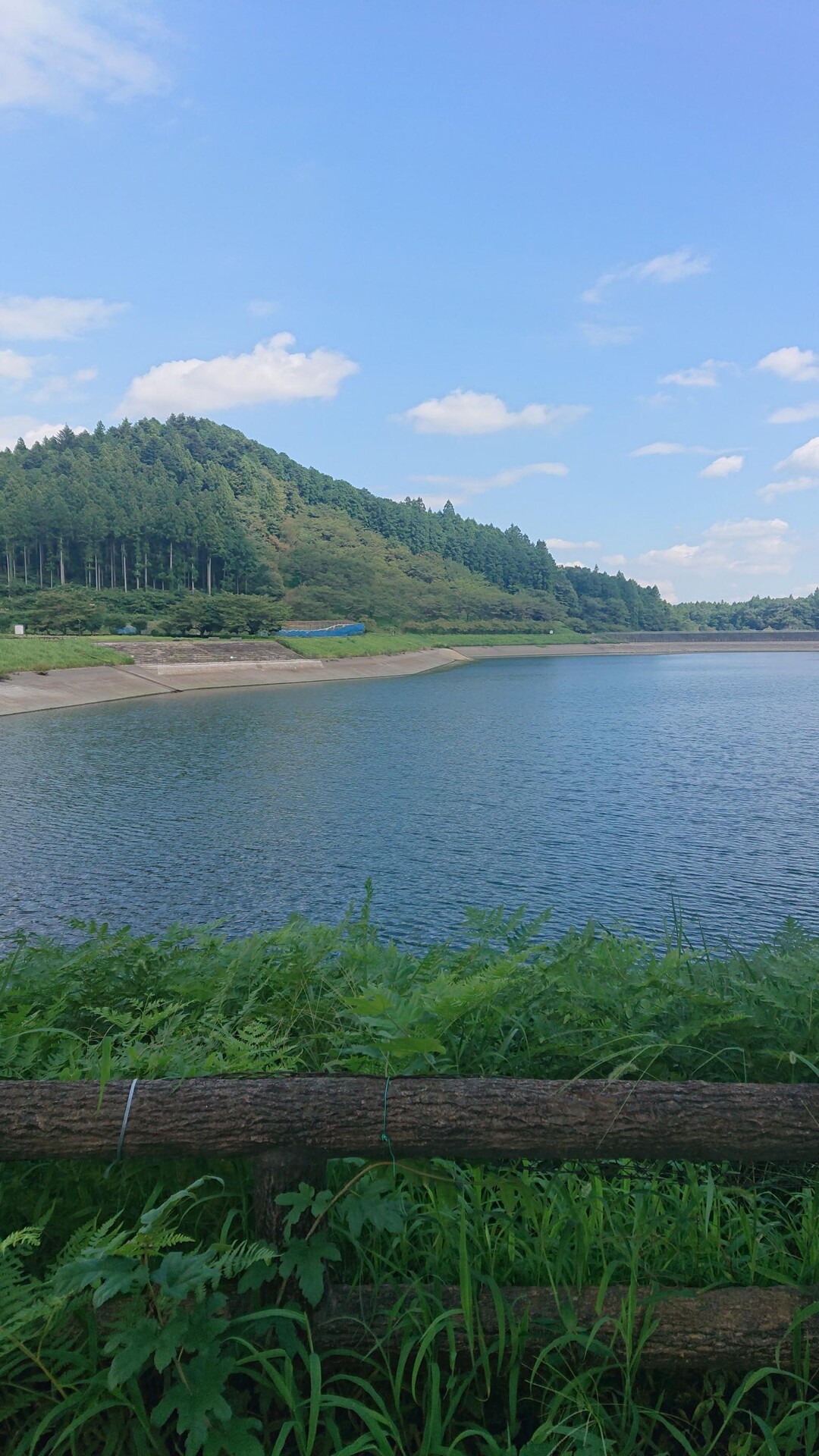 久し振りのウォーキング🚶‍♂️。 / youさんのウォーキングの活動データ | YAMAP / ヤマップ