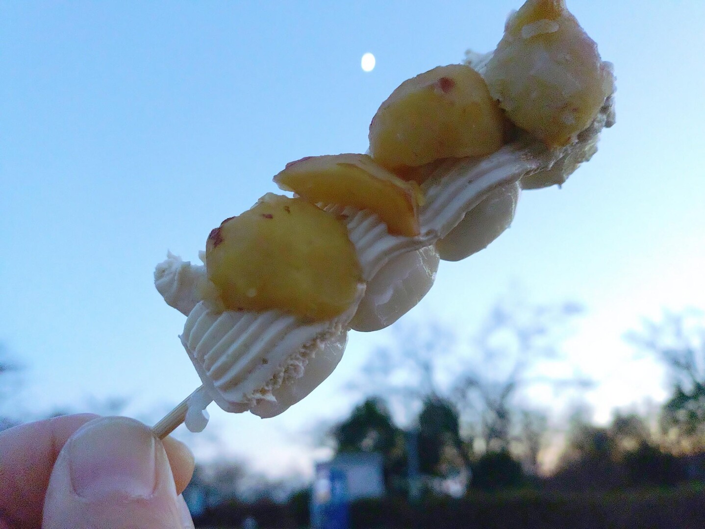 手ぬぐいを求めて / kohirouさんの東金砂山・妙見山の活動データ | YAMAP / ヤマップ