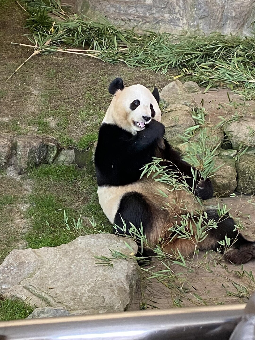 熊野古道中辺路パート3 剣ノ山・飯盛山 / rinpeさんの熊野古道 中辺路①（紀伊田辺駅〜熊野本宮大社）の活動データ | YAMAP / ヤマップ