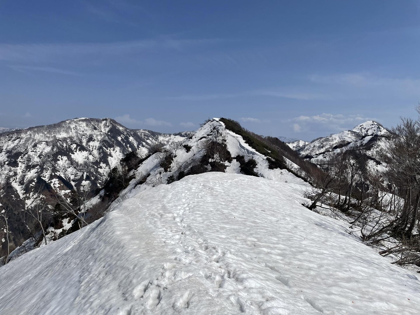 高三郎山（日帰り） / sawaさんの奈良岳（倉谷三方岳）・大門山の活動データ | YAMAP / ヤマップ