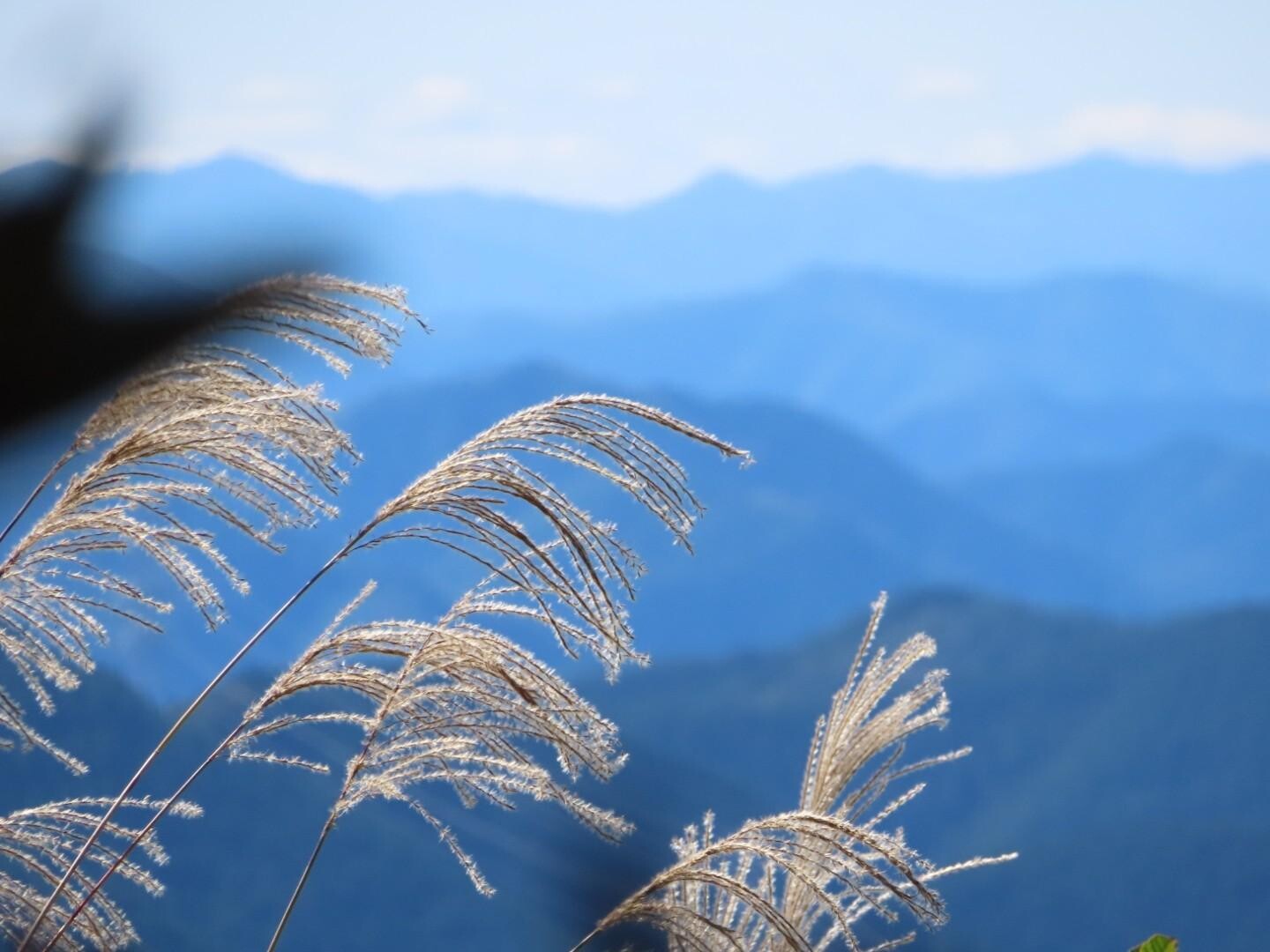 高城山・青根ヶ峰・薊岳・四寸岩山・大天井ヶ岳 / Kiyoさんの大峯奥駈道 その1（吉野～山上ヶ岳）の活動データ | YAMAP / ヤマップ