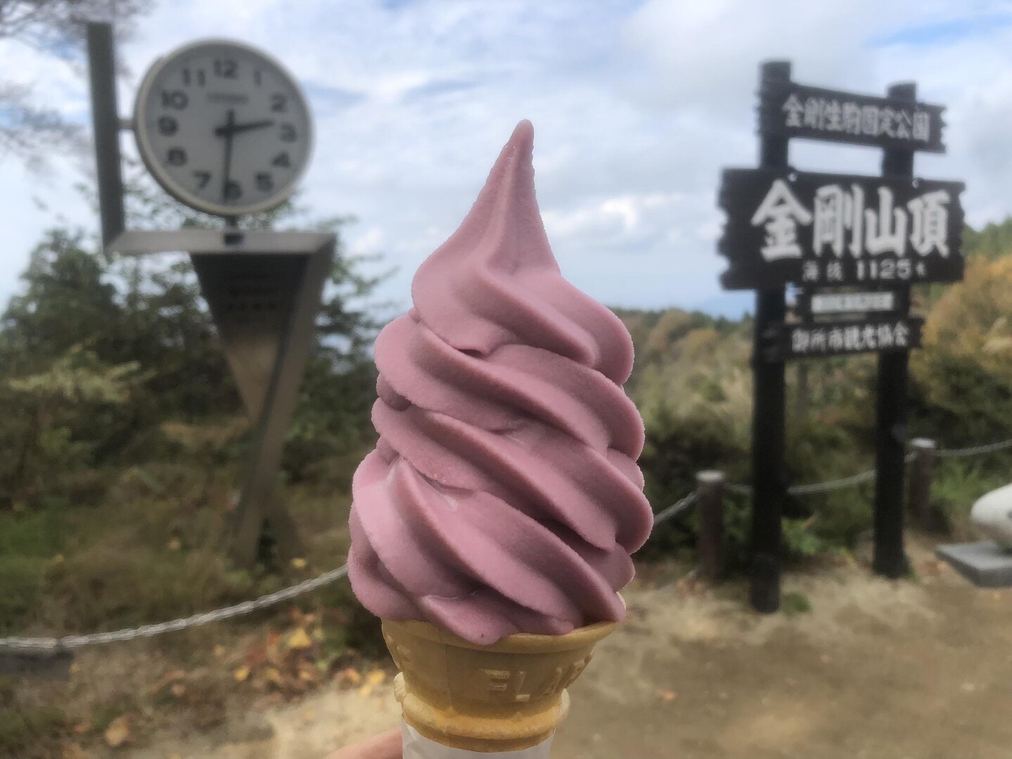 金剛山(丸滝谷↑青崩西谷↓) / hancho_tksさんの金剛山・二上山・大和葛城山の活動データ | YAMAP / ヤマップ