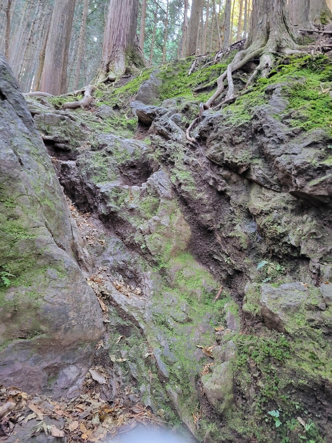 shunさんの投稿したフィールドメモ | YAMAP / ヤマップ