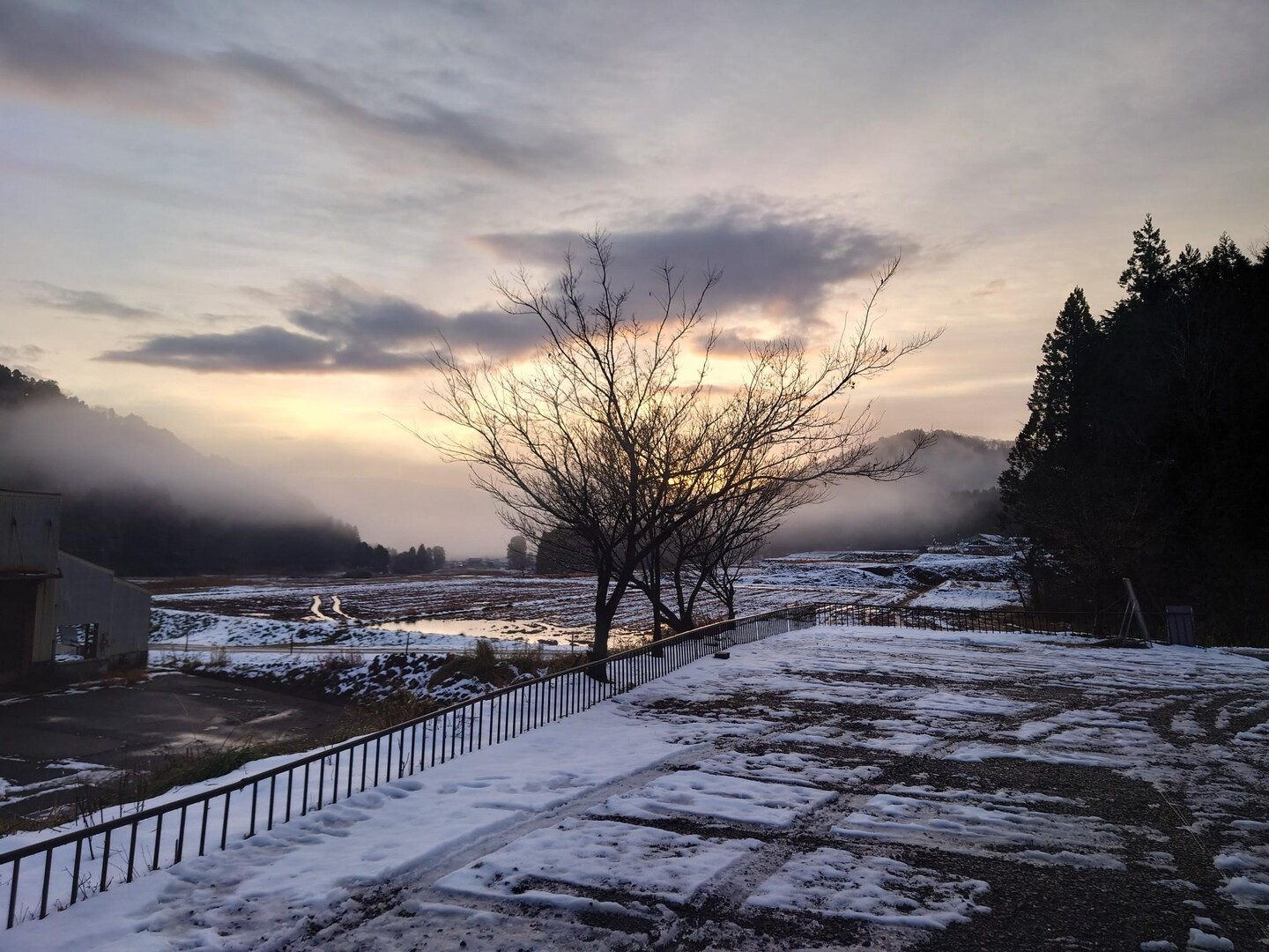 もしもオーラスの恋人選びができたなら・・・ / RYOさんの鬼ヶ岳の活動日記 | YAMAP / ヤマップ