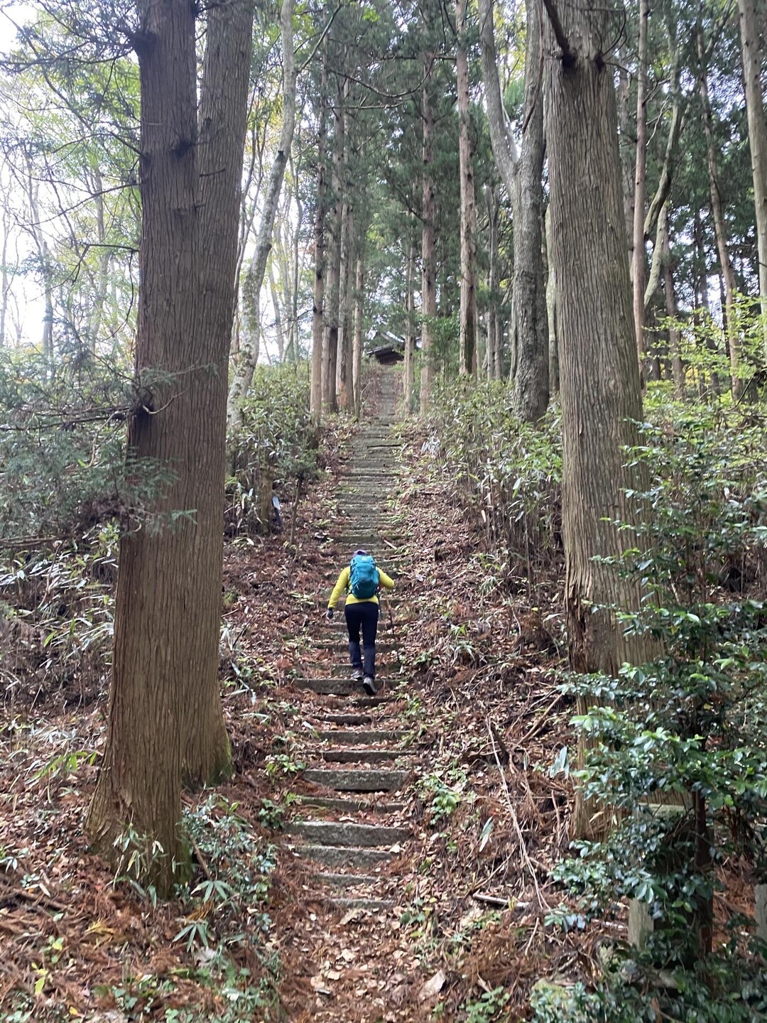 竪破山 常陸国ロングトレイルCP / WILD ACEさんの土岳・花貫渓谷・竪破山の活動日記 | YAMAP / ヤマップ