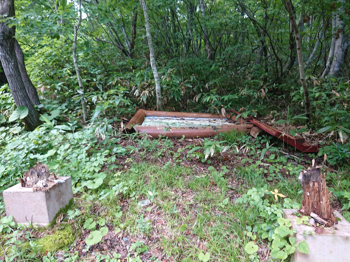 AW-993さんの投稿したフィールドメモ | YAMAP / ヤマップ