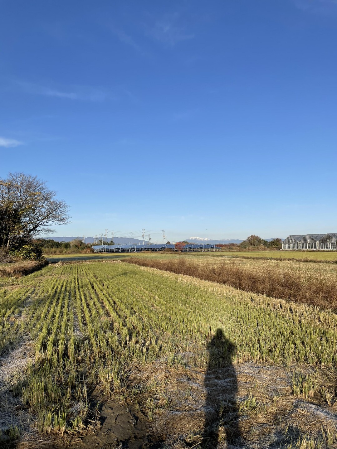 2022/12/03-今朝の伊吹山、冠雪... / ぶんささんのモーメント | YAMAP / ヤマップ