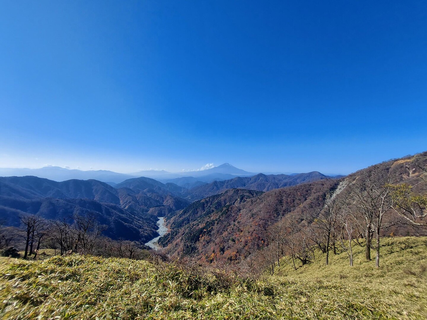 太郎さんの投稿したフィールドメモ | YAMAP / ヤマップ