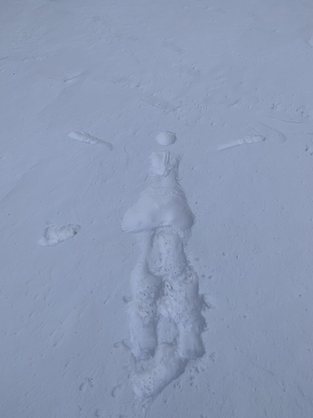 雪の本宮山 / yuyuさんの本宮山・大日山・風頭山の活動データ | YAMAP / ヤマップ