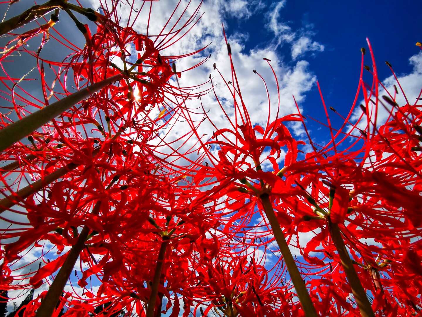 mamikoのページ | YAMAP / ヤマップ