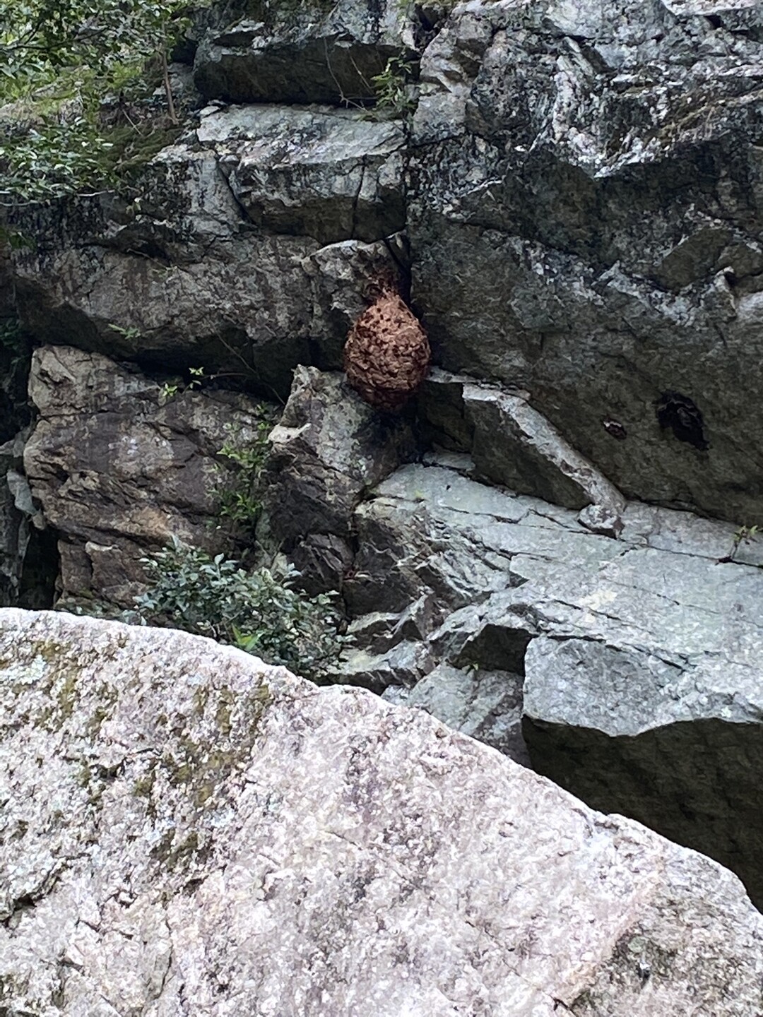 Kさんの投稿したフィールドメモ | YAMAP / ヤマップ