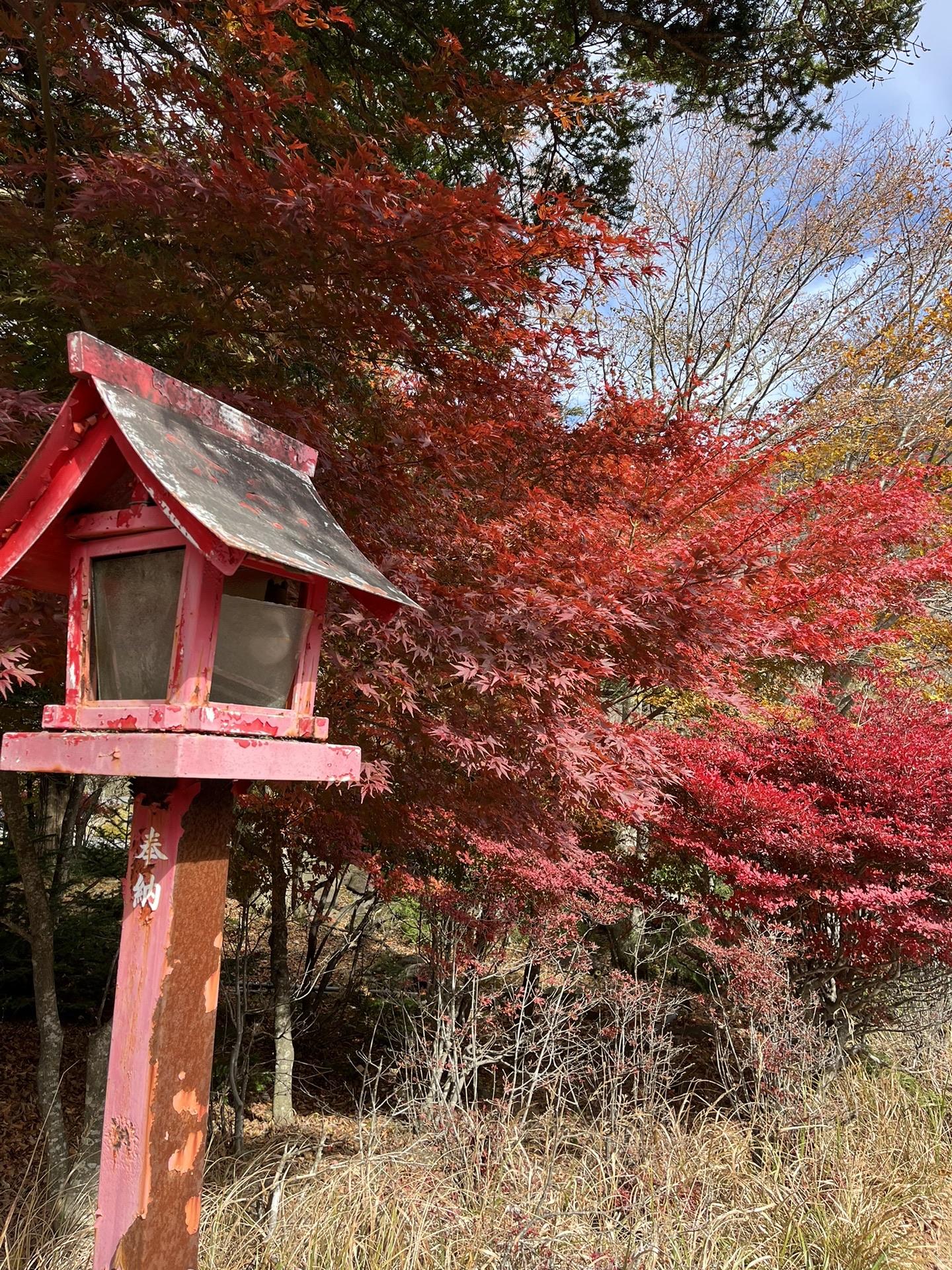 地蔵岳(赤城神社) / konyan さんのヤマノススメ巡礼マップ（赤城山・地蔵岳）の活動データ | YAMAP / ヤマップ