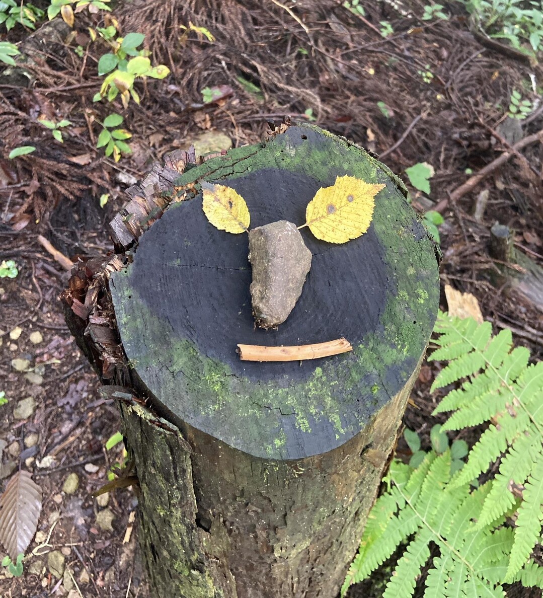 経塚山・東峰・岩湧山 / cacoさんの岩湧山・一徳防山・三石山の活動日記 | YAMAP / ヤマップ