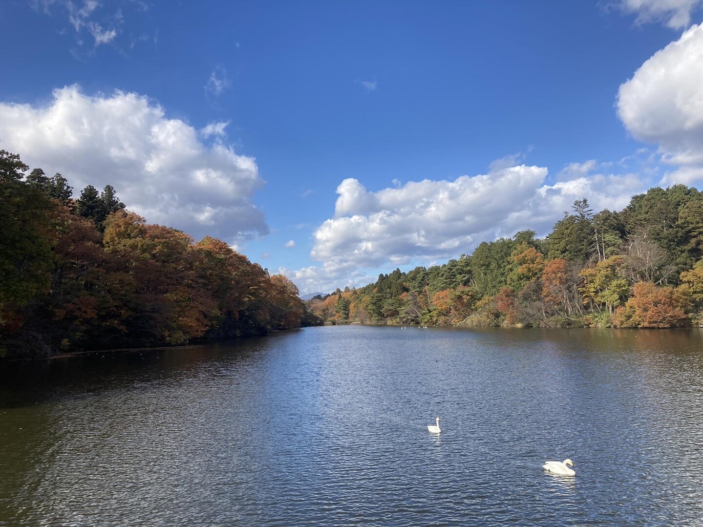 おはようございます^ ^ 今朝は風が強... / OBsunさんのモーメント | YAMAP / ヤマップ