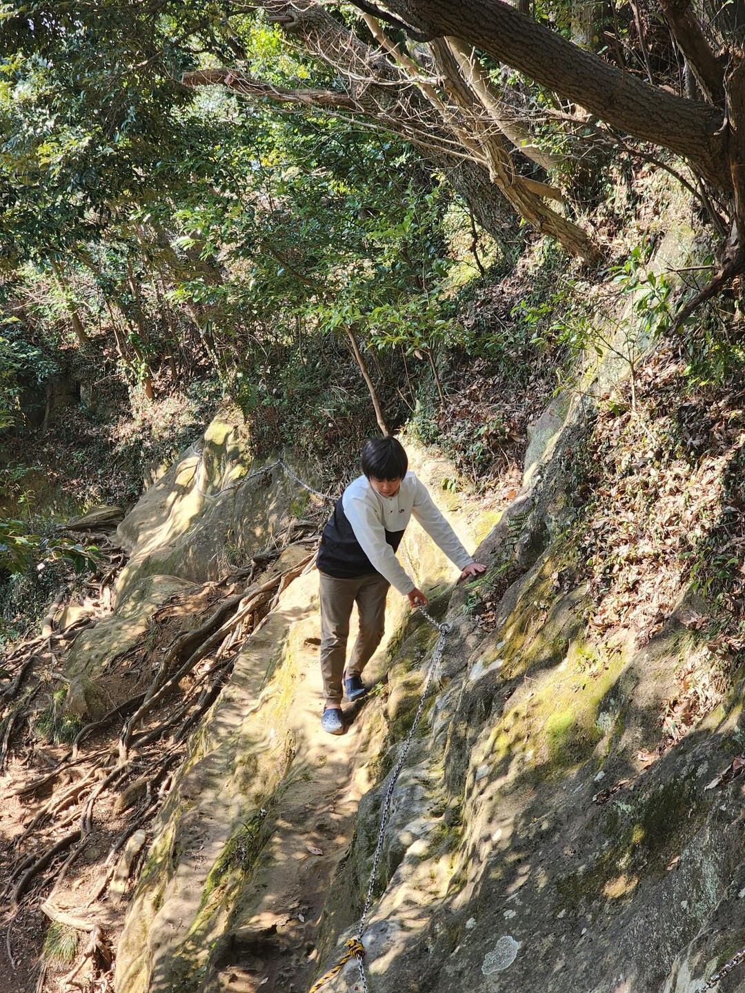 神武寺山・鷹取山 / mtc0190さんの鷹取山の活動データ | YAMAP / ヤマップ