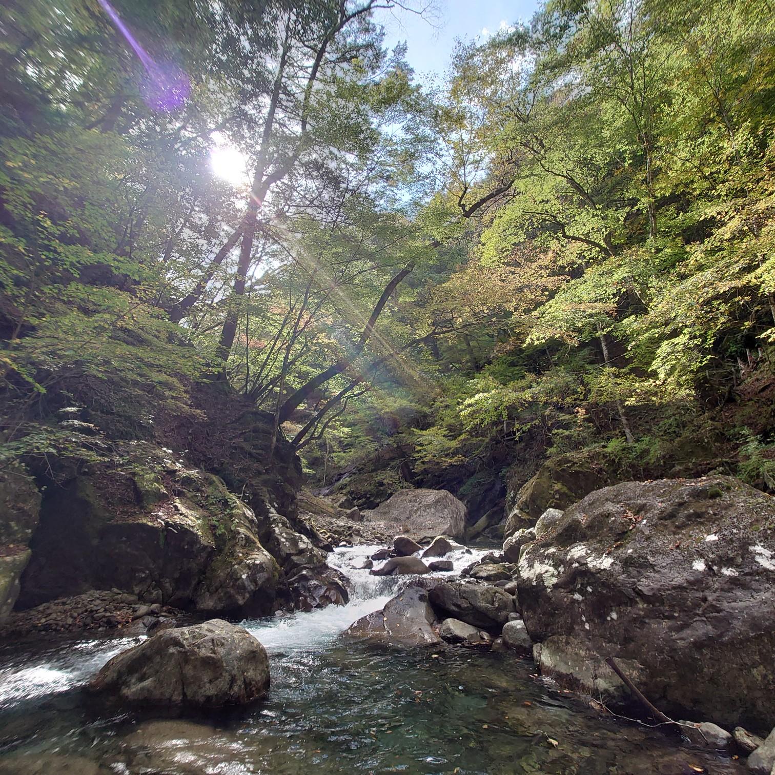 西沢渓谷-2022-10-23 / トモさんの乾徳山・黒金山の活動データ | YAMAP / ヤマップ