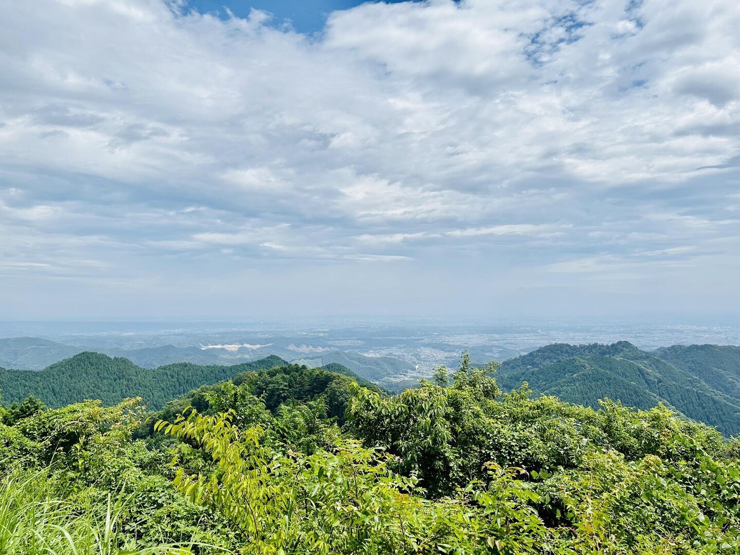 少しの雨の中、陣馬高原から高尾山へ / yuu_oさんの高尾山・陣馬山・景信山の活動日記 | YAMAP / ヤマップ