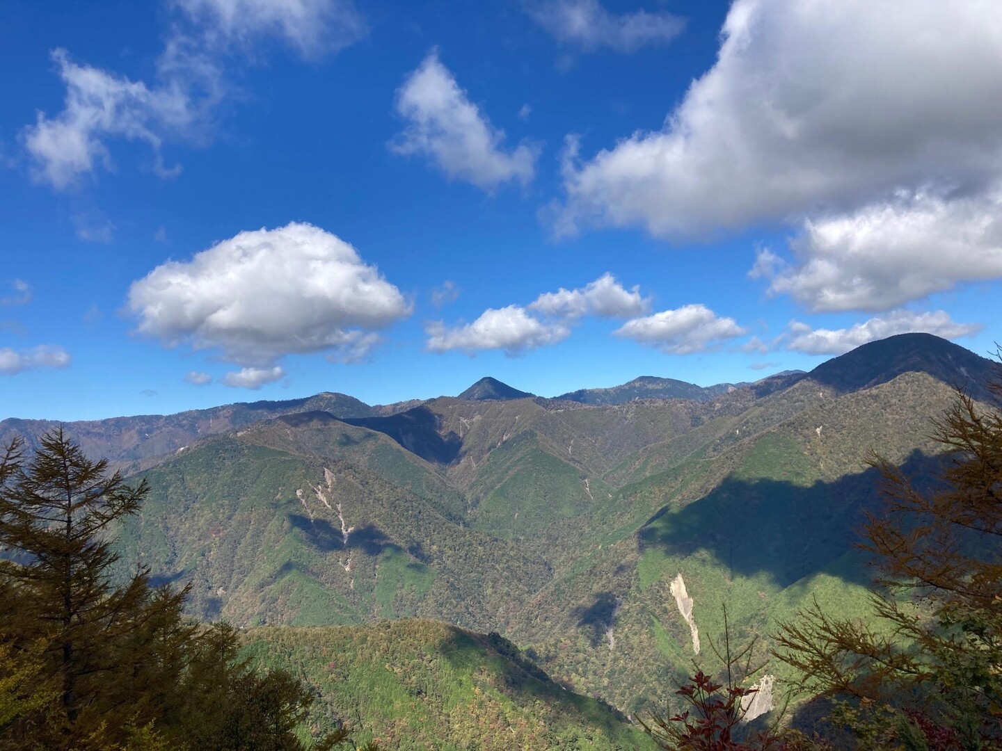 川根本町縦走体験 山犬段・八丁段・板取山・天水・横沢の頭・沢口山 / Tomiさんの板取山・沢口山の活動データ | YAMAP / ヤマップ