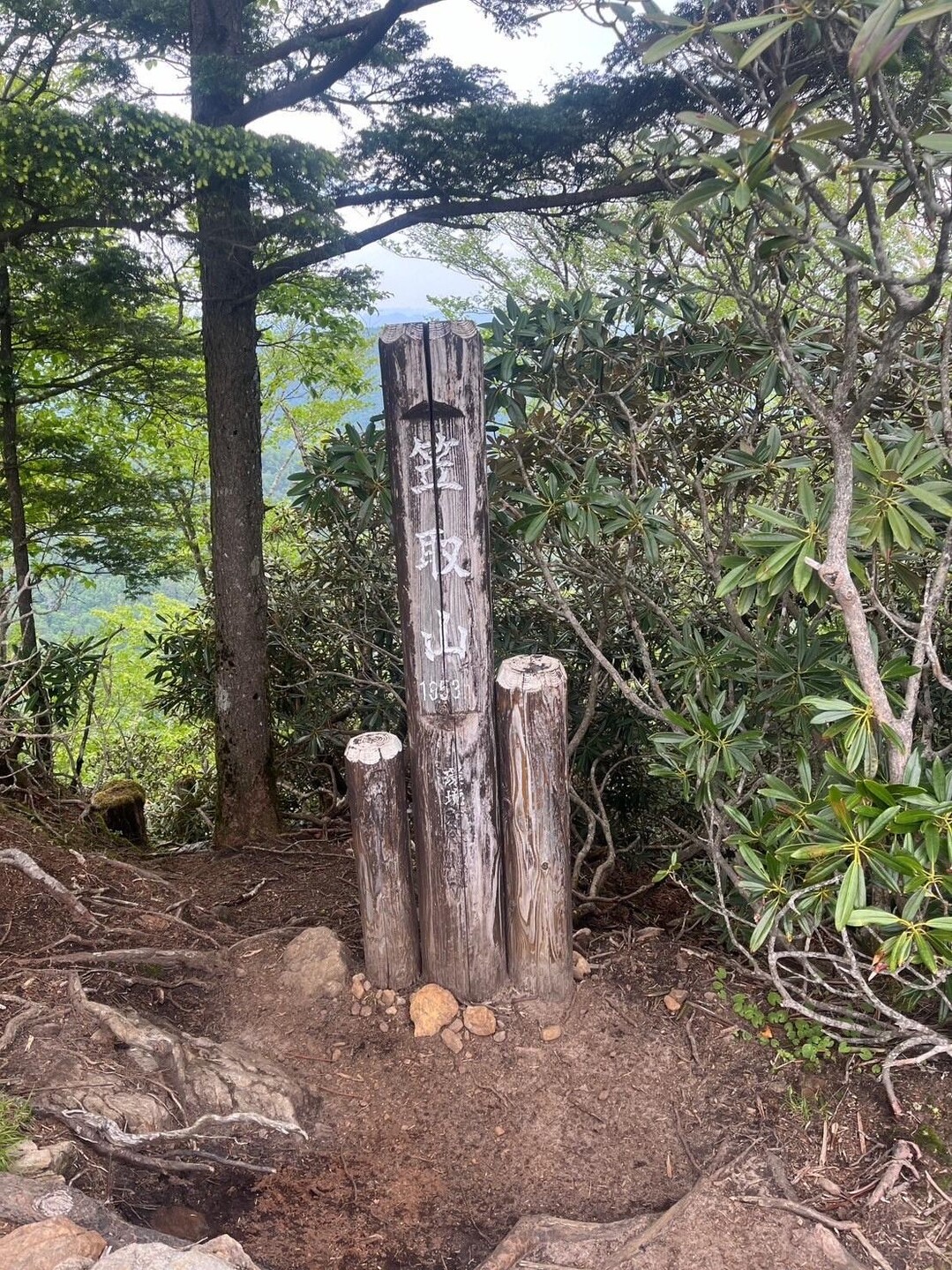 笠取山テント泊リハビリ登山vol.5 / riecoさんの和名倉山・笠取山・東仙波の活動データ | YAMAP / ヤマップ