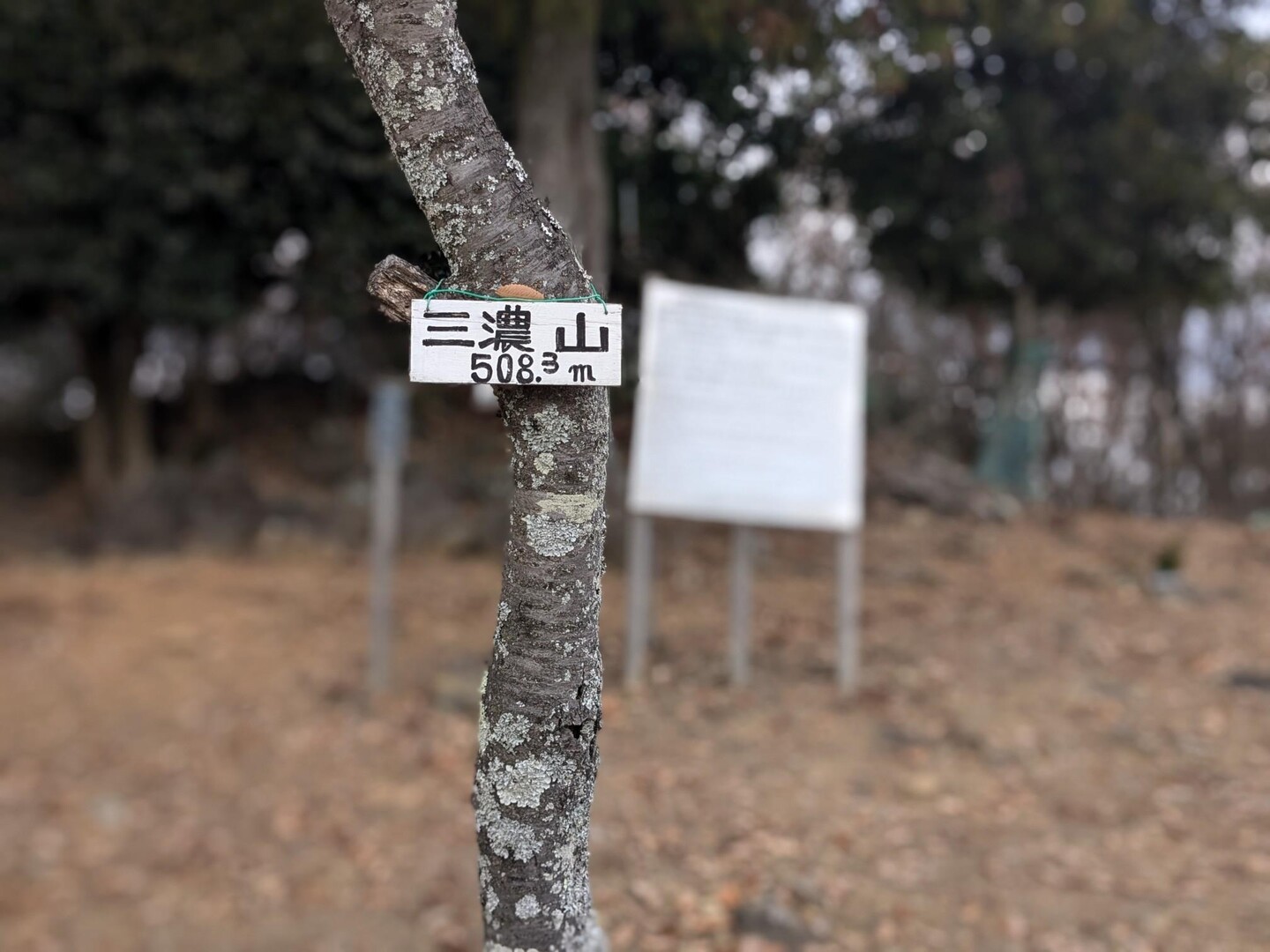 感状山・西山・三濃山 / Shuさんの三濃山・感状山の活動データ | YAMAP / ヤマップ