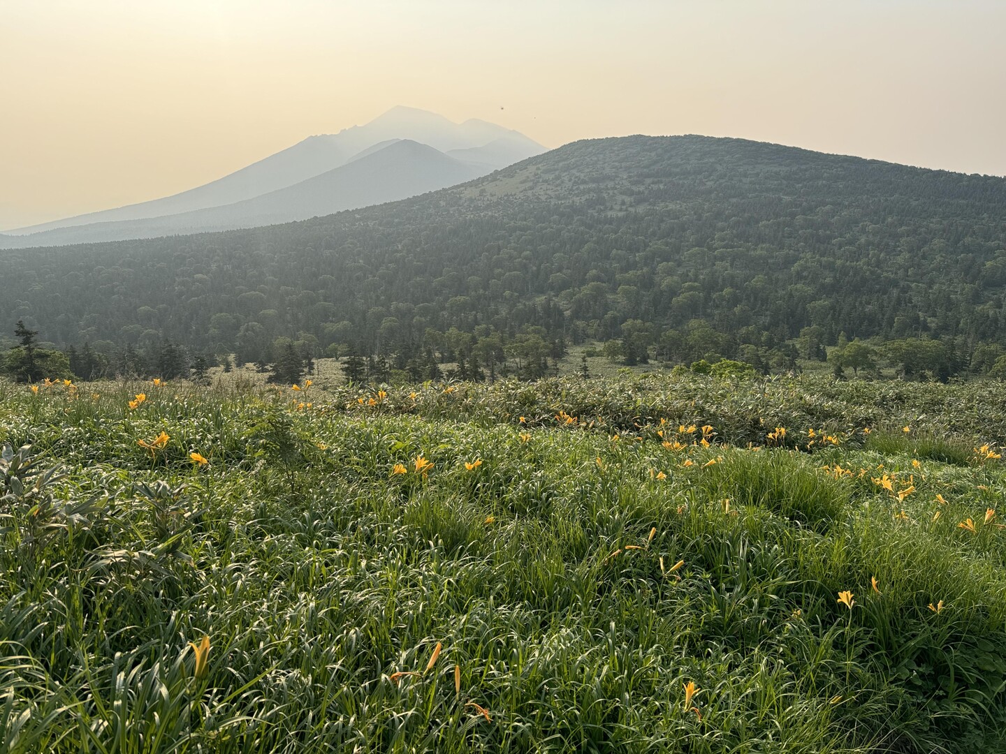 岩手山・八幡平・安比高原 50km トレイル / おむすびさんの岩手山・八幡平・安比高原 50km トレイルの活動データ | YAMAP / ヤマップ