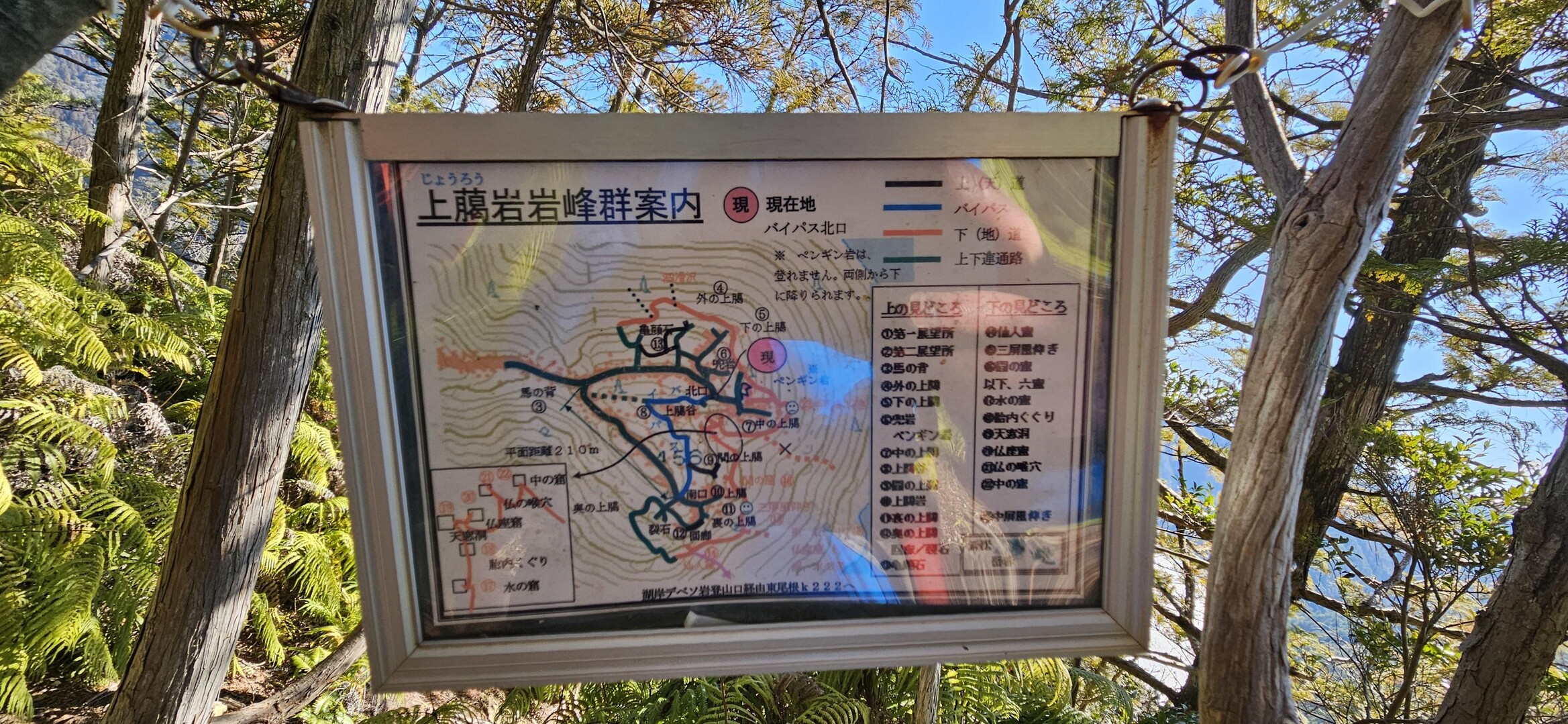 上臈岩、岩巡り🐧 / moochi さんの明神山（三ツ瀬明神山）の活動データ | YAMAP / ヤマップ