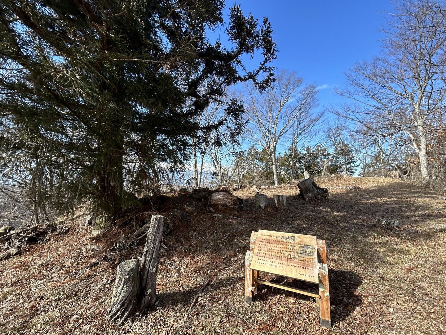 洞山（早落城山）・伊深城山 GPハント / Yuさんの三才山・戸谷峰の活動データ | YAMAP / ヤマップ