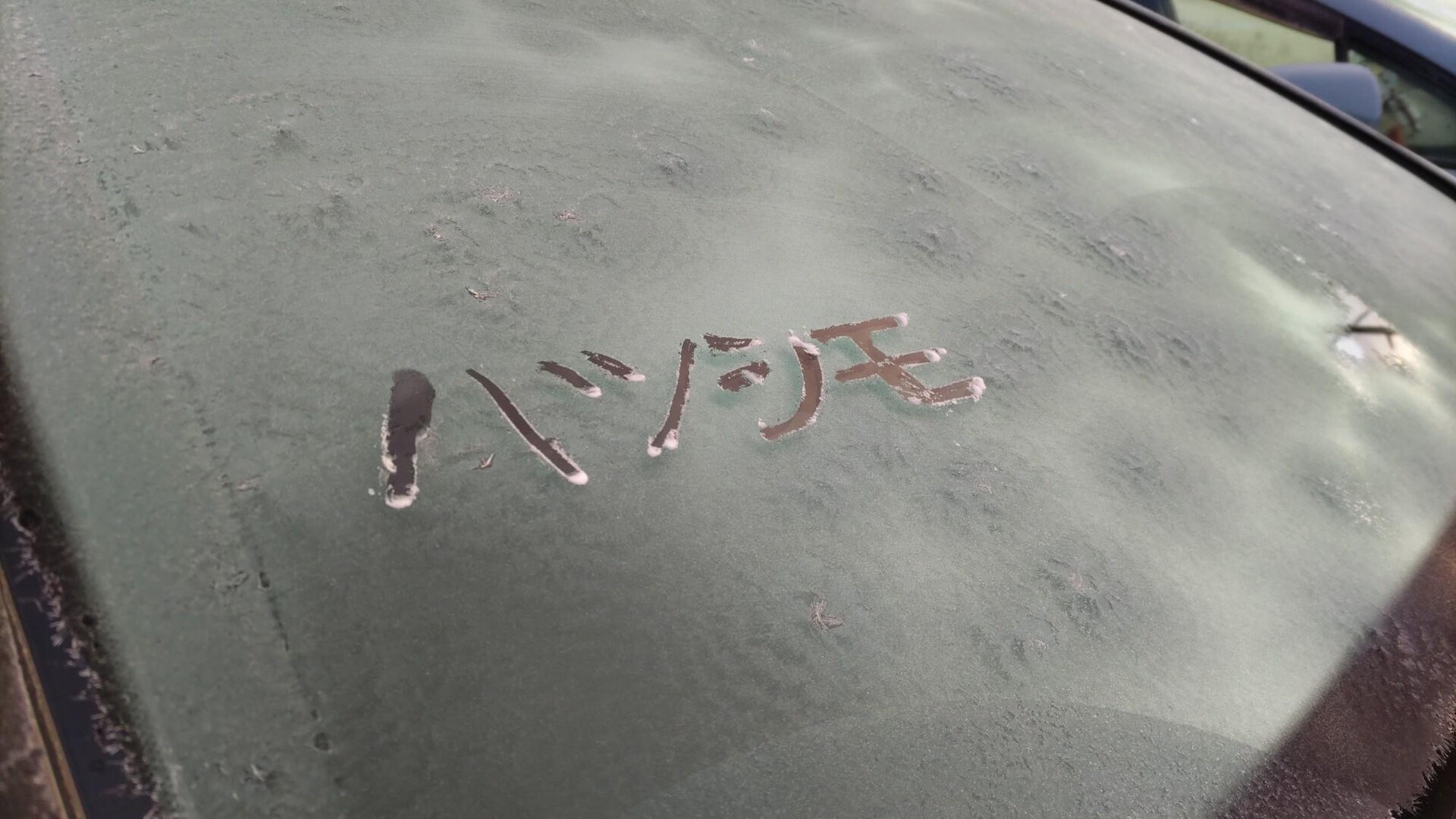 今季一番の冷え込み🥶（岐阜のおコメ🍙... / Nakachanさんのモーメント | YAMAP / ヤマップ