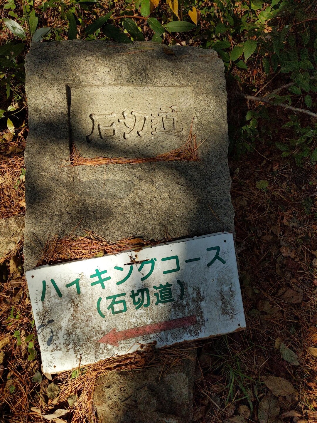 Taさんの投稿したフィールドメモ | YAMAP / ヤマップ