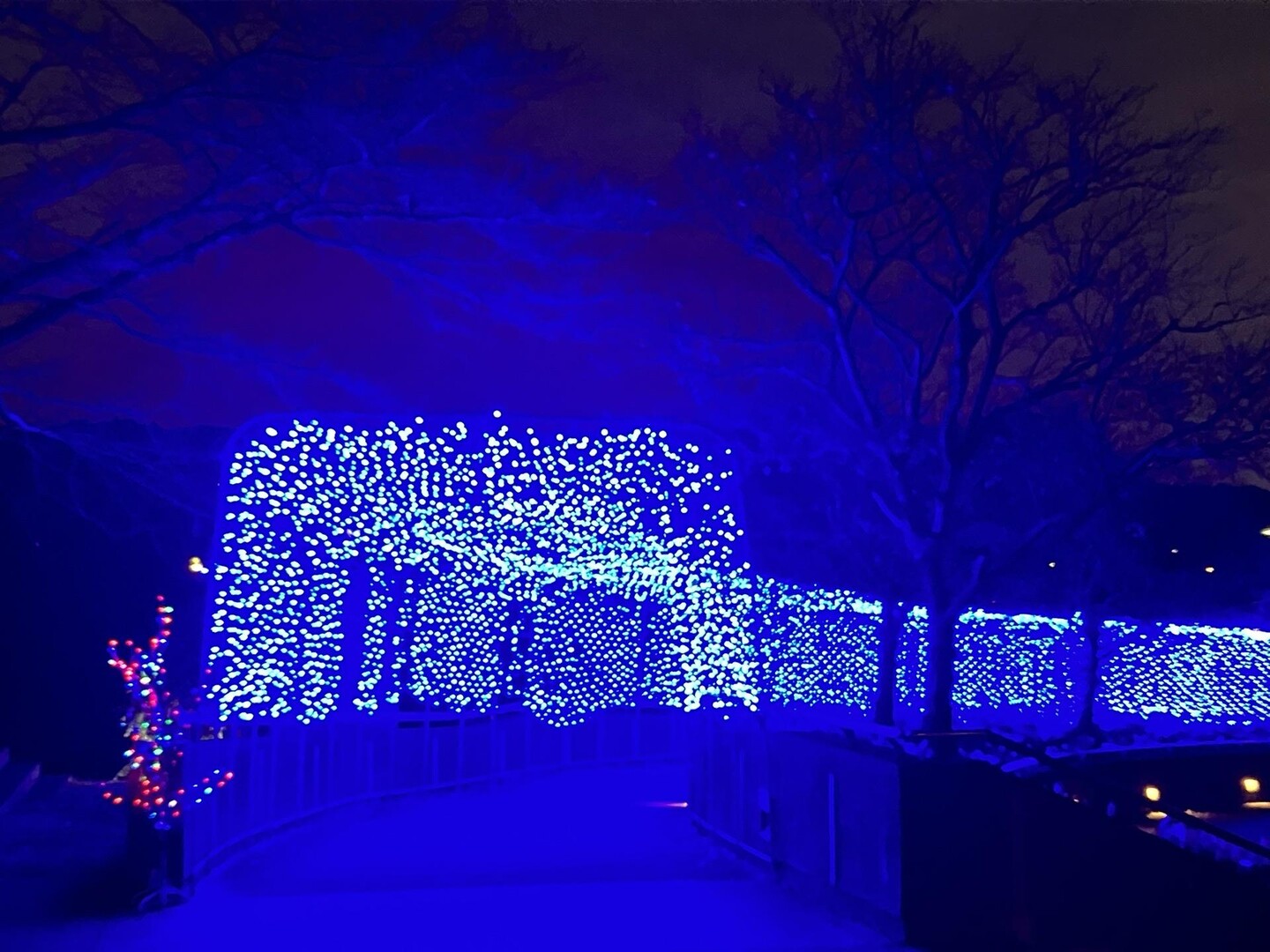 可愛いお馬さん🫏🫏🫏 今度は乗馬体... / ayanonさんのモーメント | YAMAP / ヤマップ