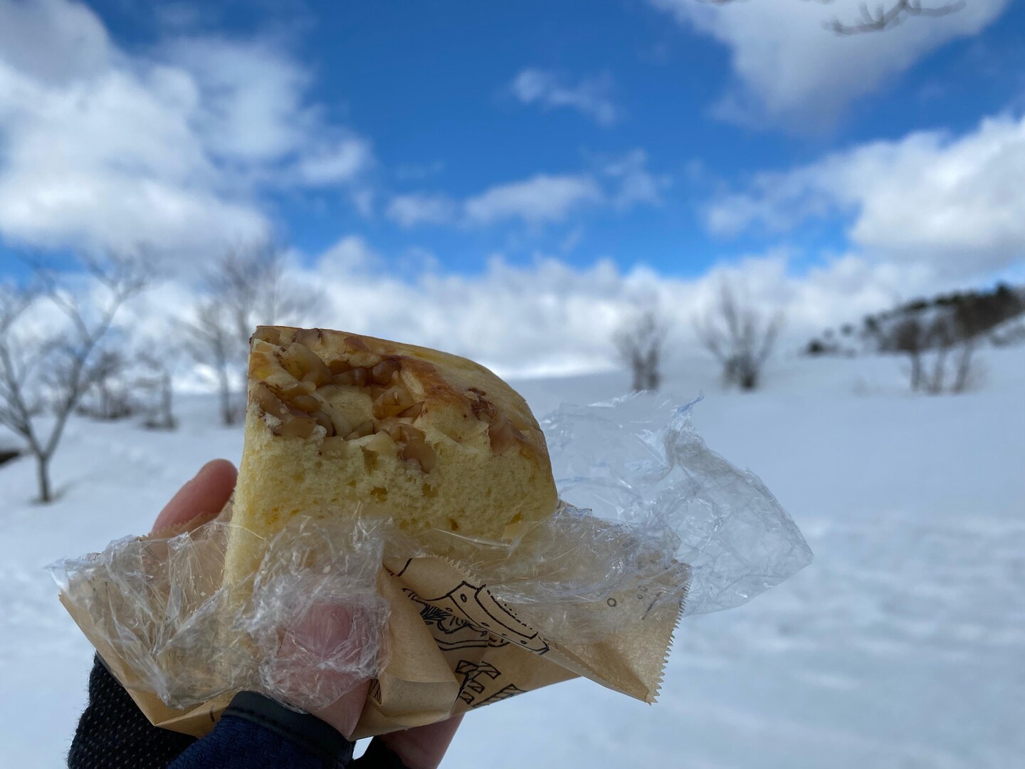 野鳥レストラン+六呂師スキー場跡でワカン散歩（タマゴ蒸しパンの巻） / KEIPPE☆BEさんの経ヶ岳・法恩寺山の活動日記 | YAMAP / ヤマップ