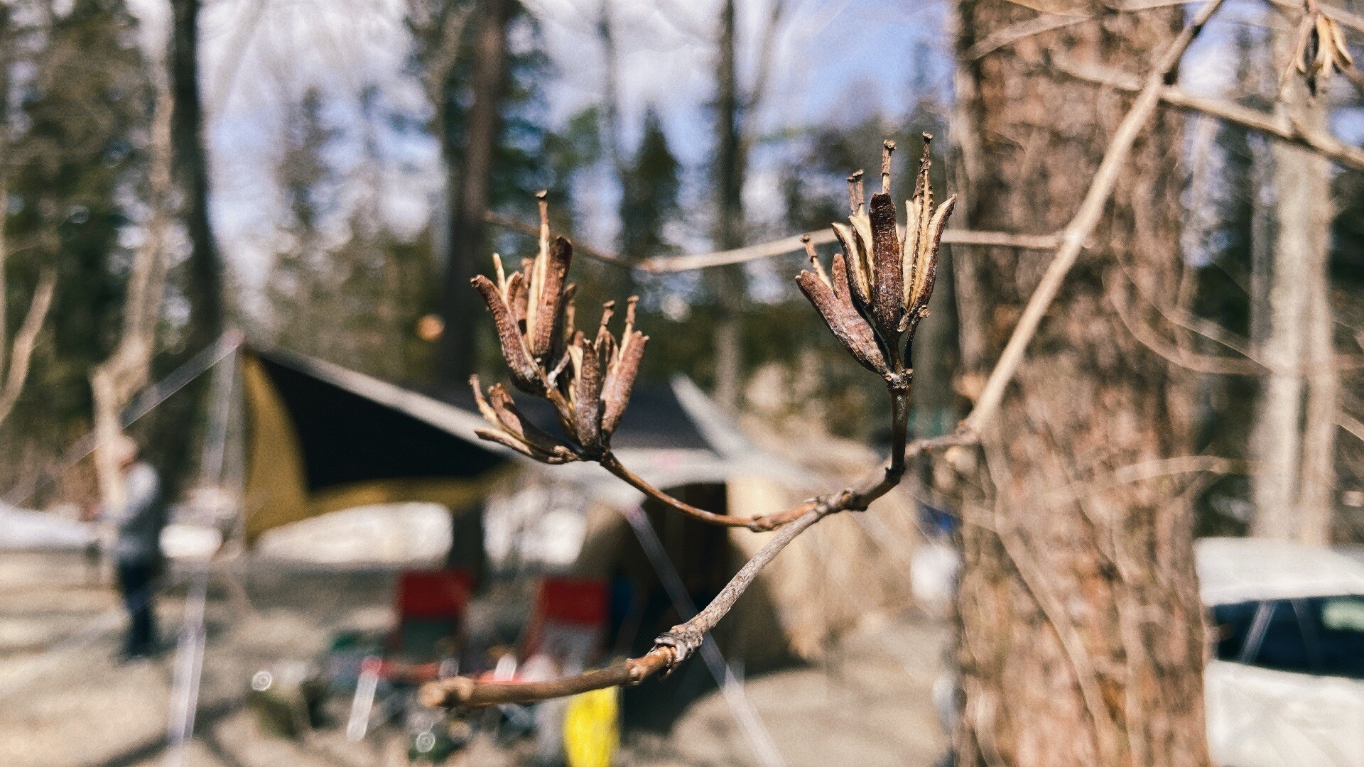 in N.A.O camp場🏕 28... / k*ˊᵕˋ*nさんのモーメント | YAMAP / ヤマップ