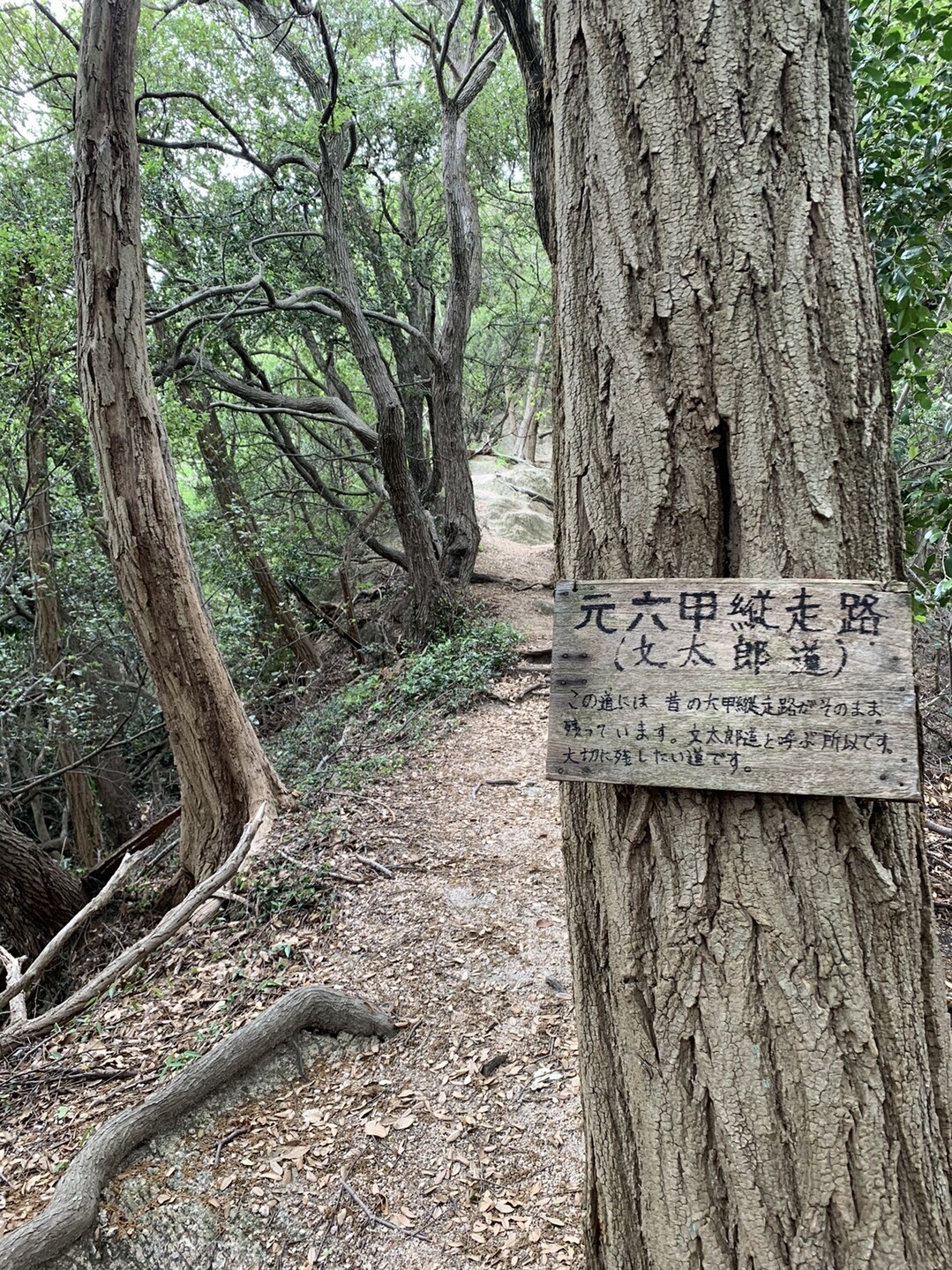 旗振山・鉄拐山・高倉山・栂尾山・横尾山・東山 / ヨッシー@神戸さんの六甲山・長峰山・摩耶山の活動データ | YAMAP / ヤマップ