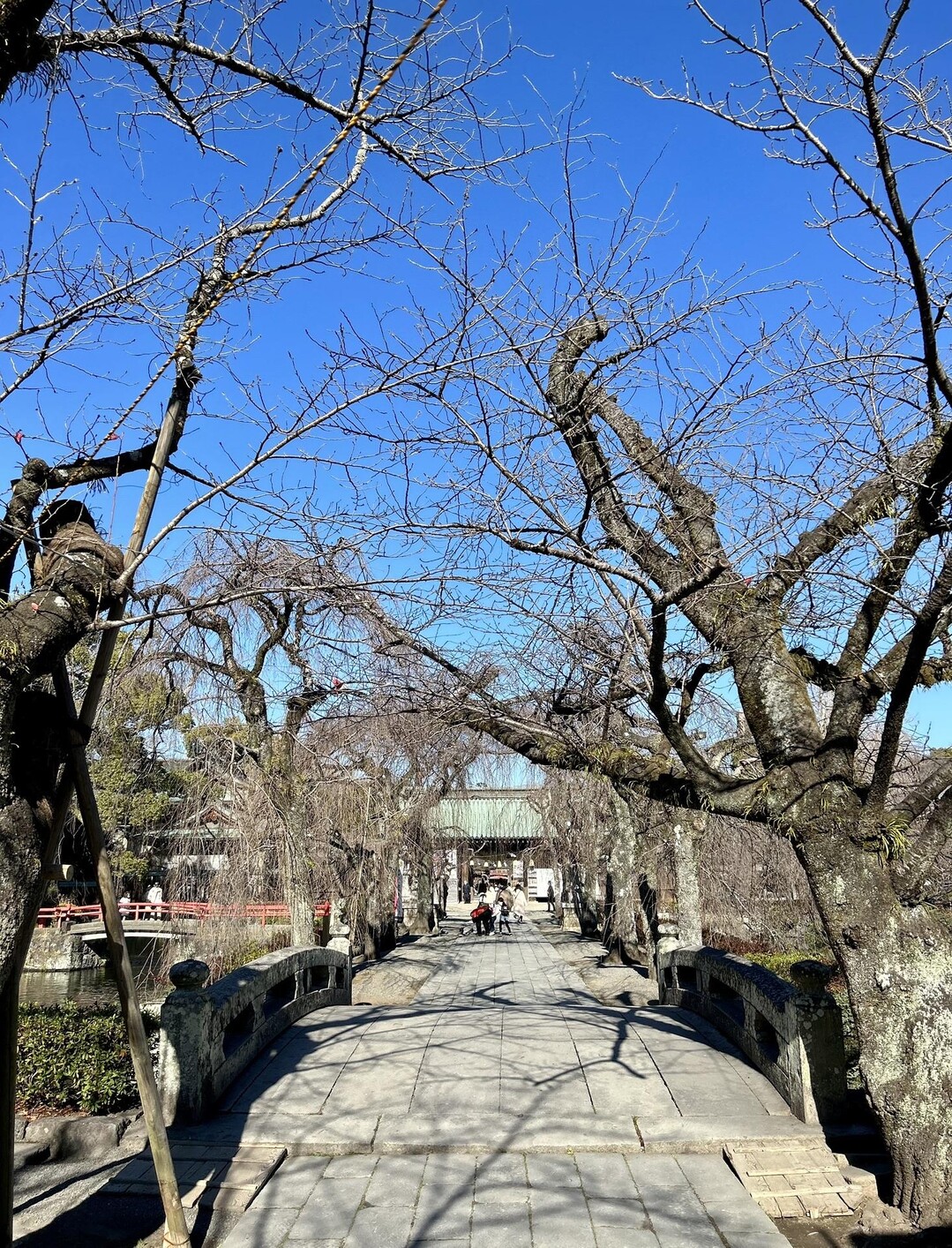 お仕事で三島に。 あくまでもお仕事です。... / たくさんのモーメント | YAMAP / ヤマップ