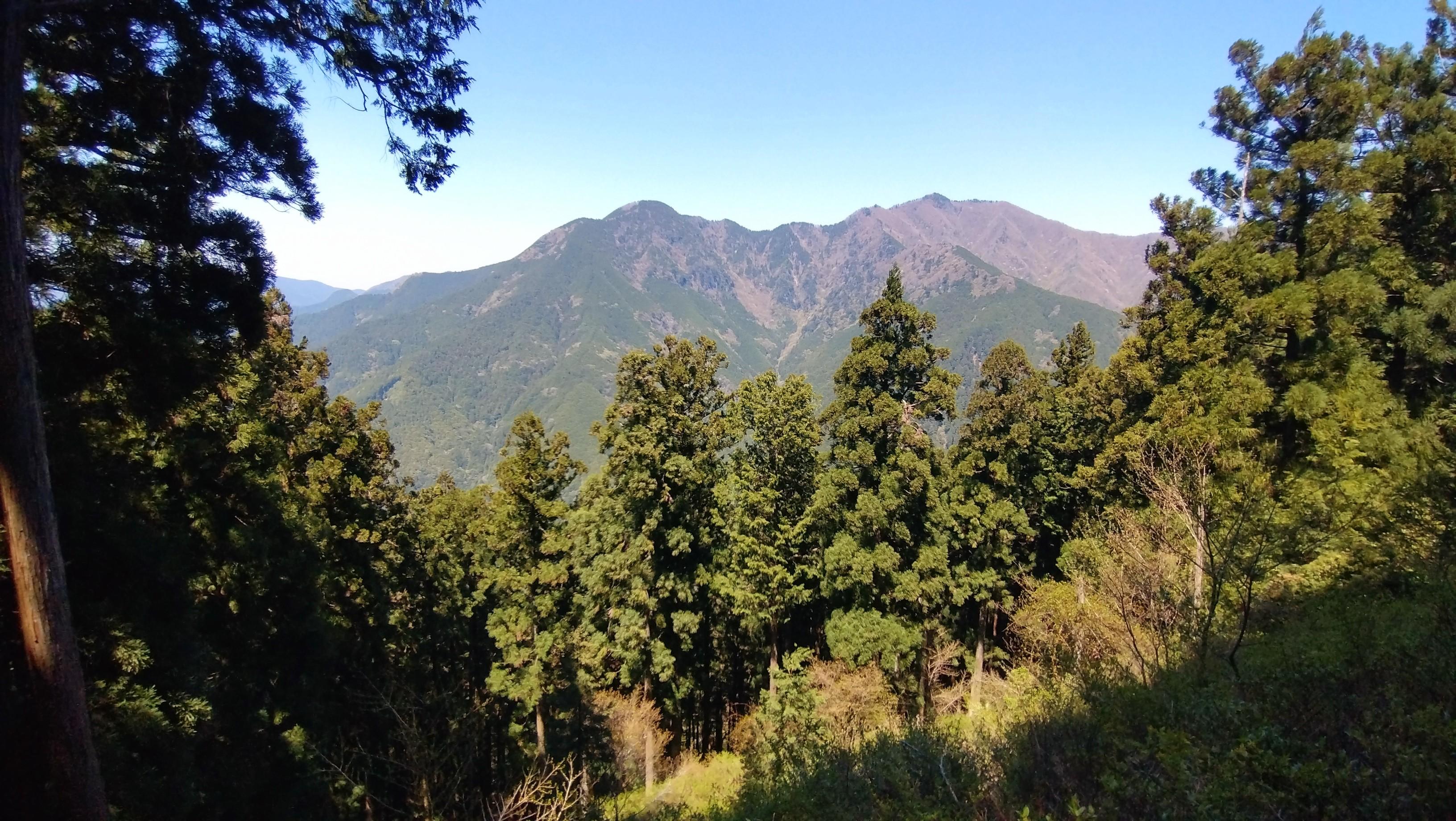 小白髭・白鬚岳・ショウジ山 / @toshisさんの白鬚岳の活動データ | YAMAP / ヤマップ