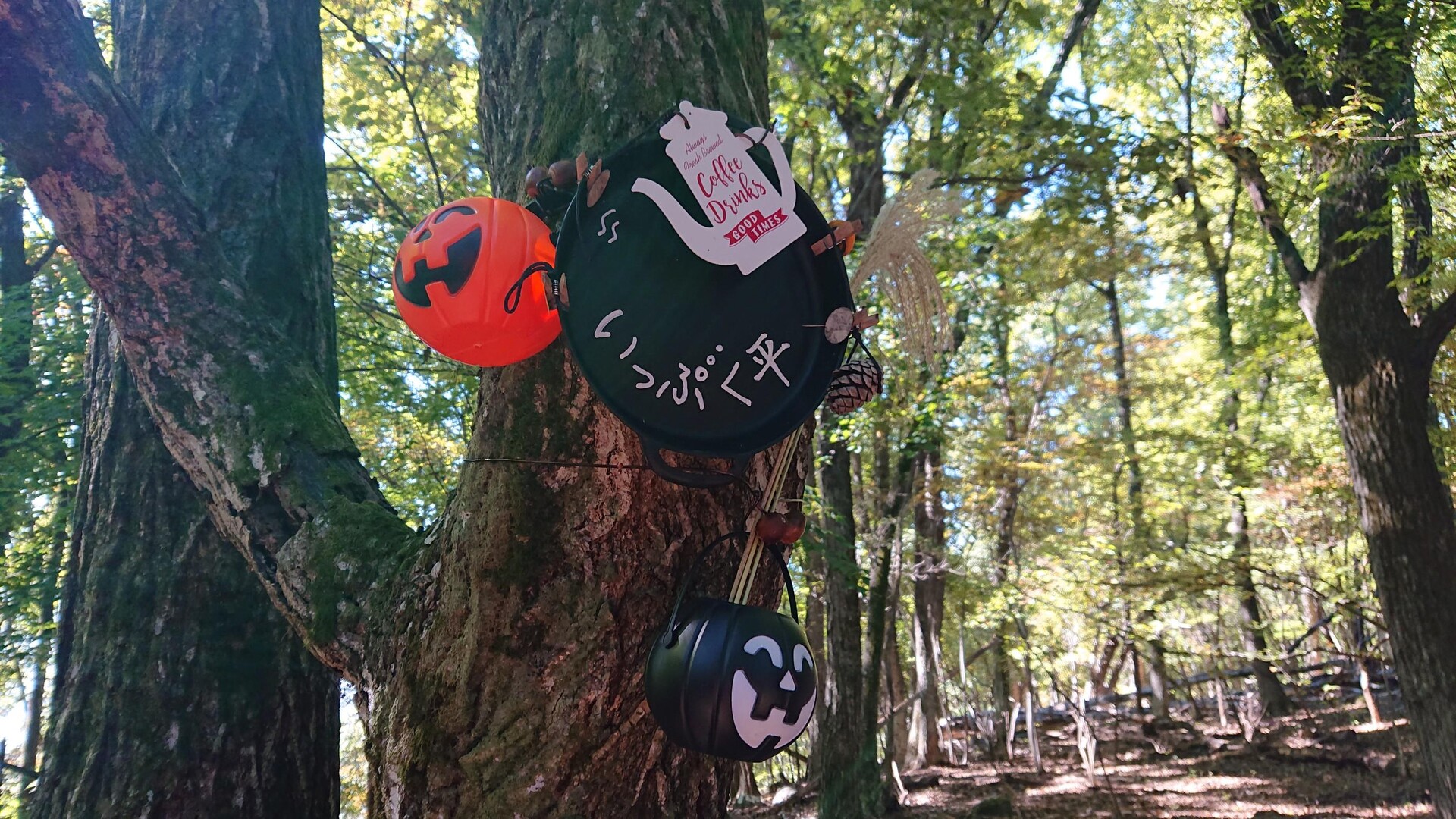 2543mさんの投稿したフィールドメモ | YAMAP / ヤマップ