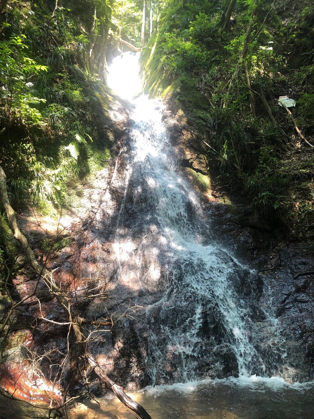 竜門岳（龍門岳） / HiHiAさんの音羽山・竜門岳（龍門岳）・熊ヶ岳の活動データ | YAMAP / ヤマップ