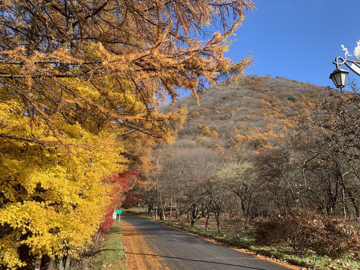 榛名富士・ひともっこ山 / hideki.eさんの榛名山・天狗山・天目山の活動データ | YAMAP / ヤマップ