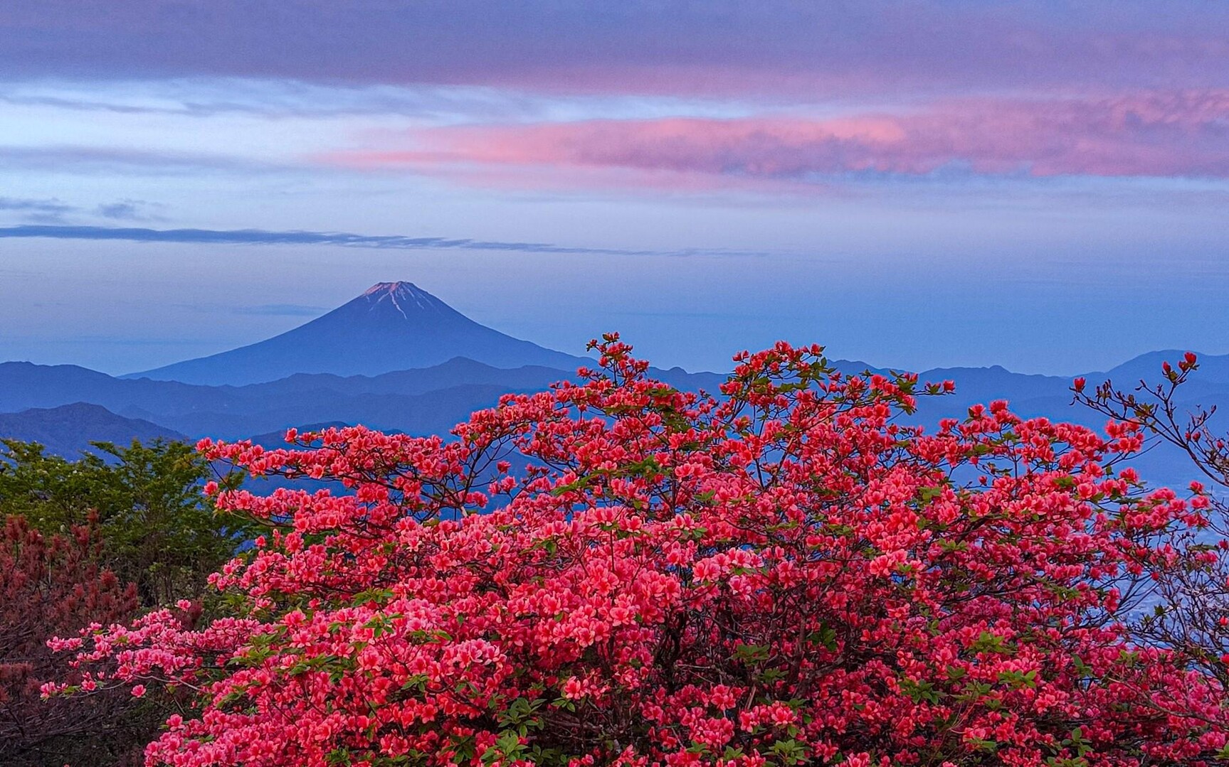 柳沢ノ頭・ハンゼノ頭 / nobo1274さんの倉掛山・鈴庫山・小倉山の活動データ | YAMAP / ヤマップ