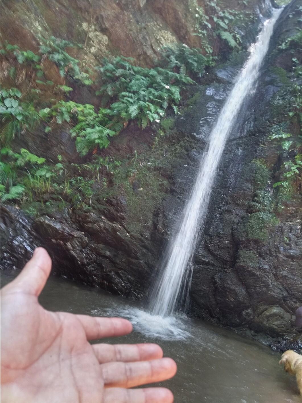 日和田山・物見山-2024-08-11 / hightop さんの日和田山・物見山の活動データ | YAMAP / ヤマップ