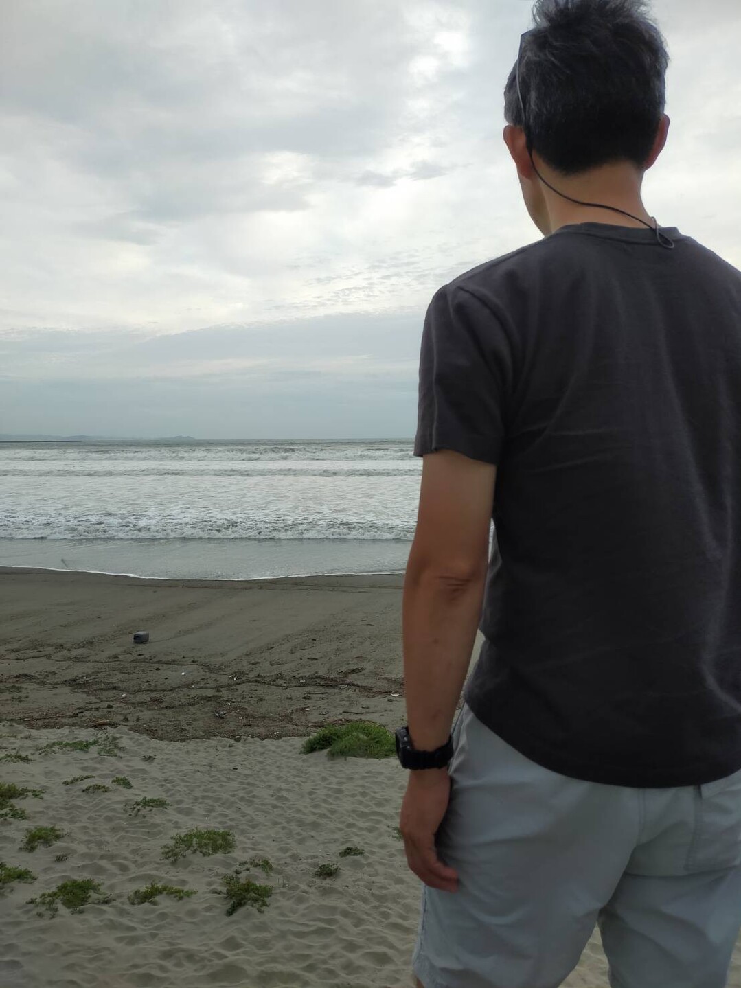 9/19さよなら夏の日…台風14号 / kozyさんのモーメント | YAMAP / ヤマップ