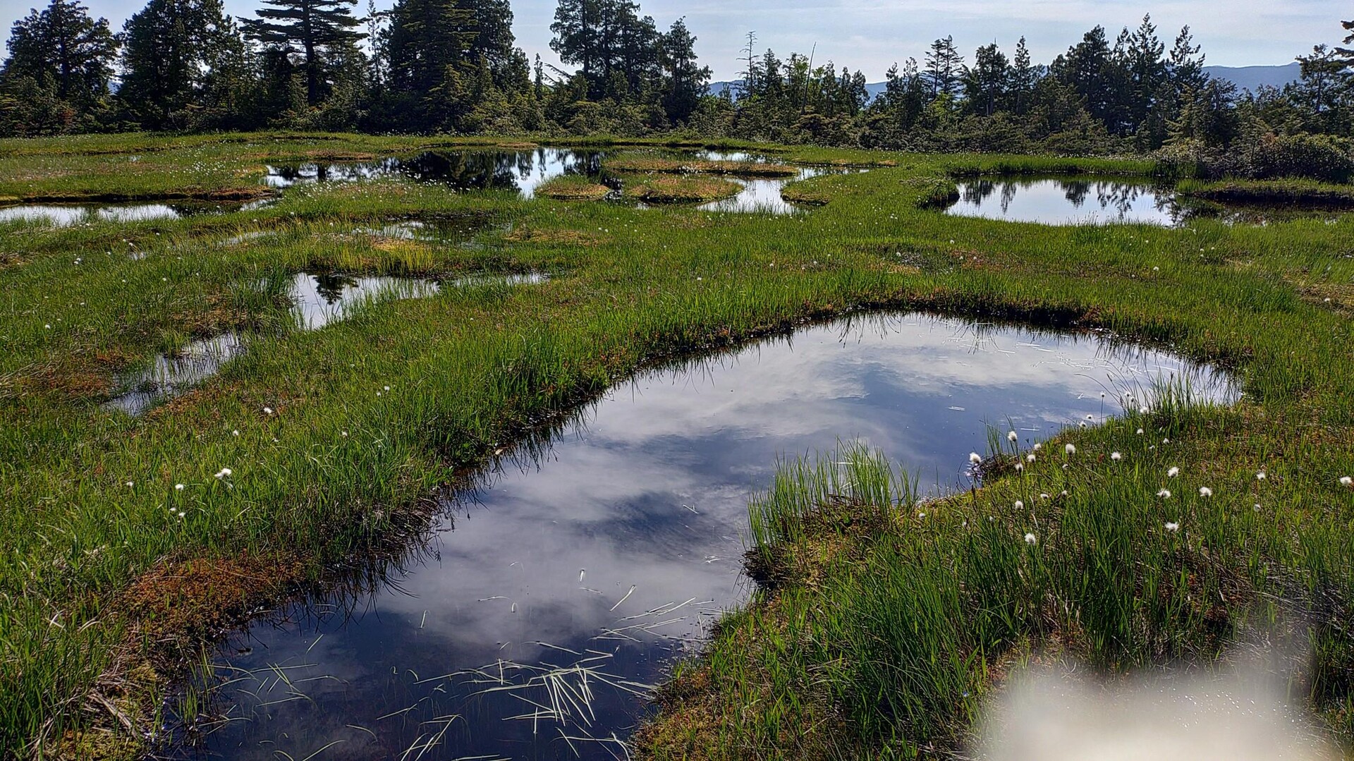 燧ヶ岳 / NANAさんの尾瀬・燧ヶ岳の活動データ | YAMAP / ヤマップ