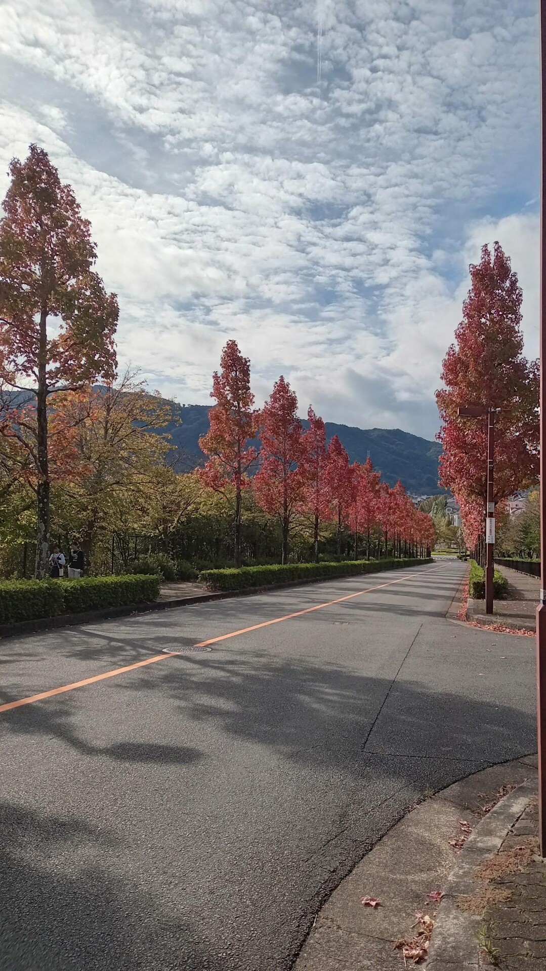 公園通って郵便局 帰りはバス通り。 紅... / yuusenさんのモーメント | YAMAP / ヤマップ