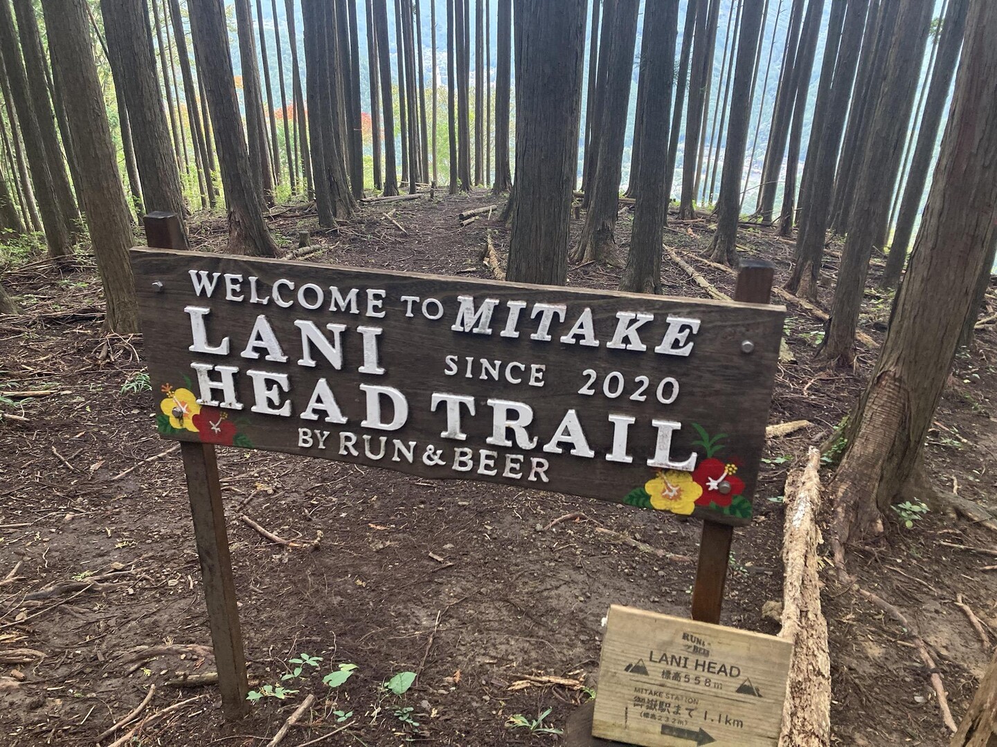 高峰山・竜のヒゲ・日の出山 / Moppetさんの大岳山・御岳山・御前山の活動データ | YAMAP / ヤマップ