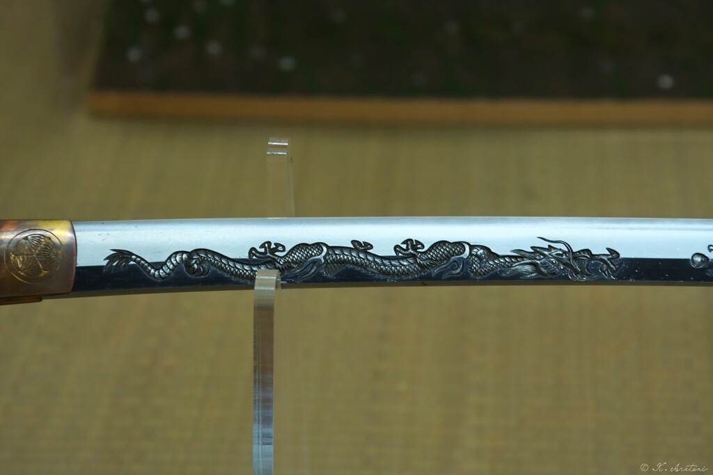 岩国 城山（5） / Kanameさんの岩国市 岩国エリアの活動データ | YAMAP / ヤマップ